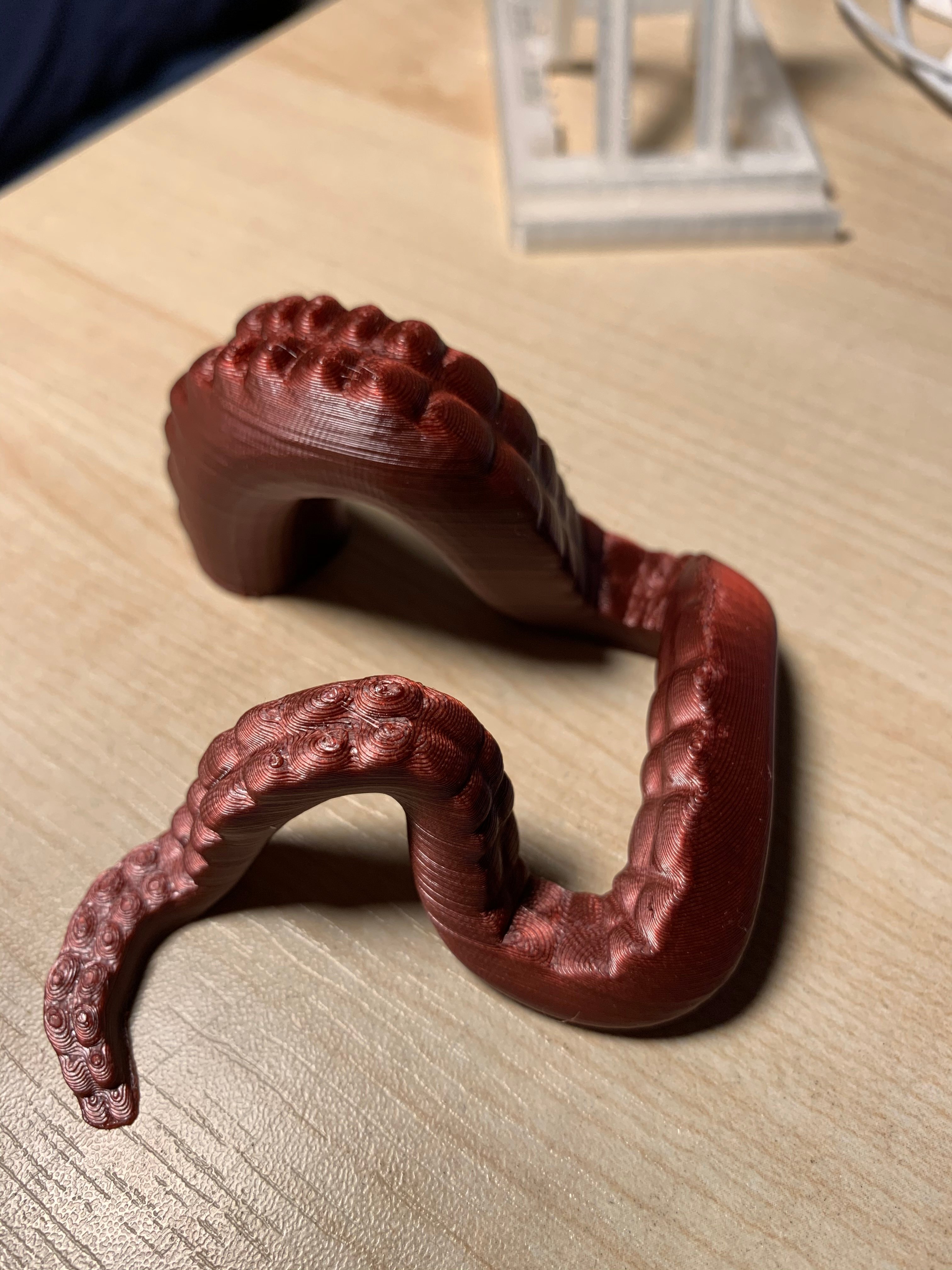 3D printed Octopus Stand Version Three・Cults