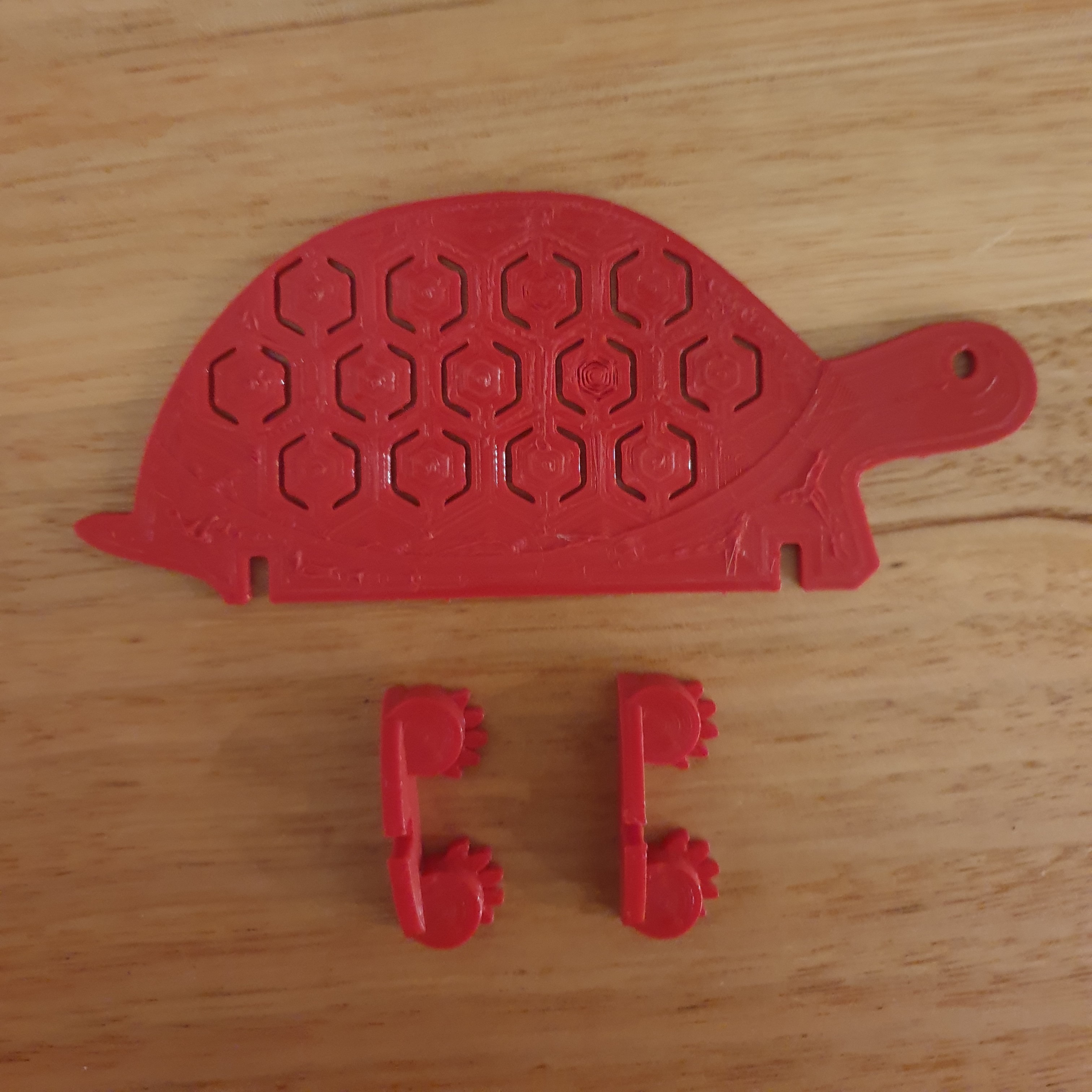 Free STL file Tortoise 🔰 ・3D printer design to download・Cults