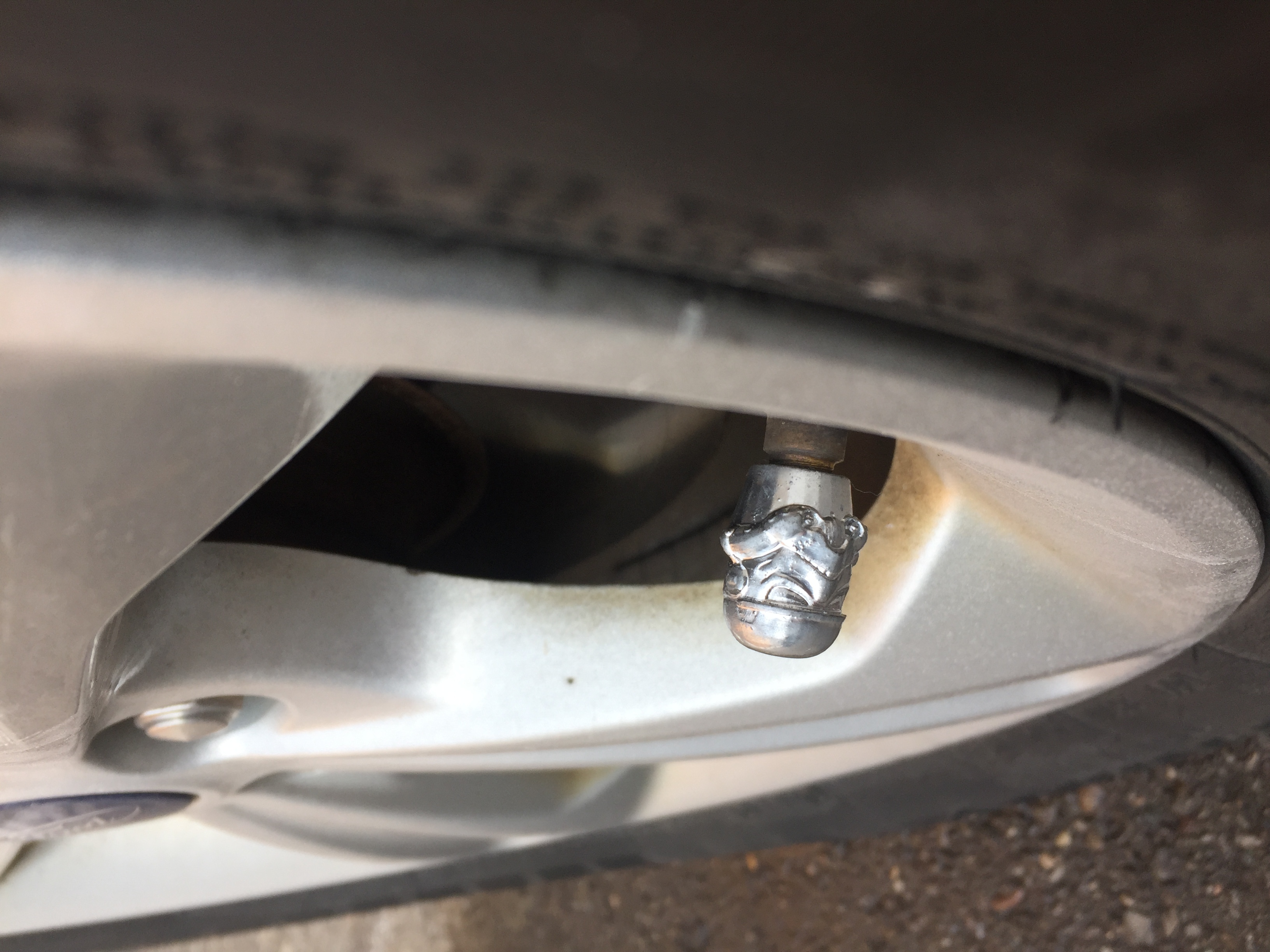 💀 Skull Valve Stem Cap Terminator Death・ STL File for ・Cults