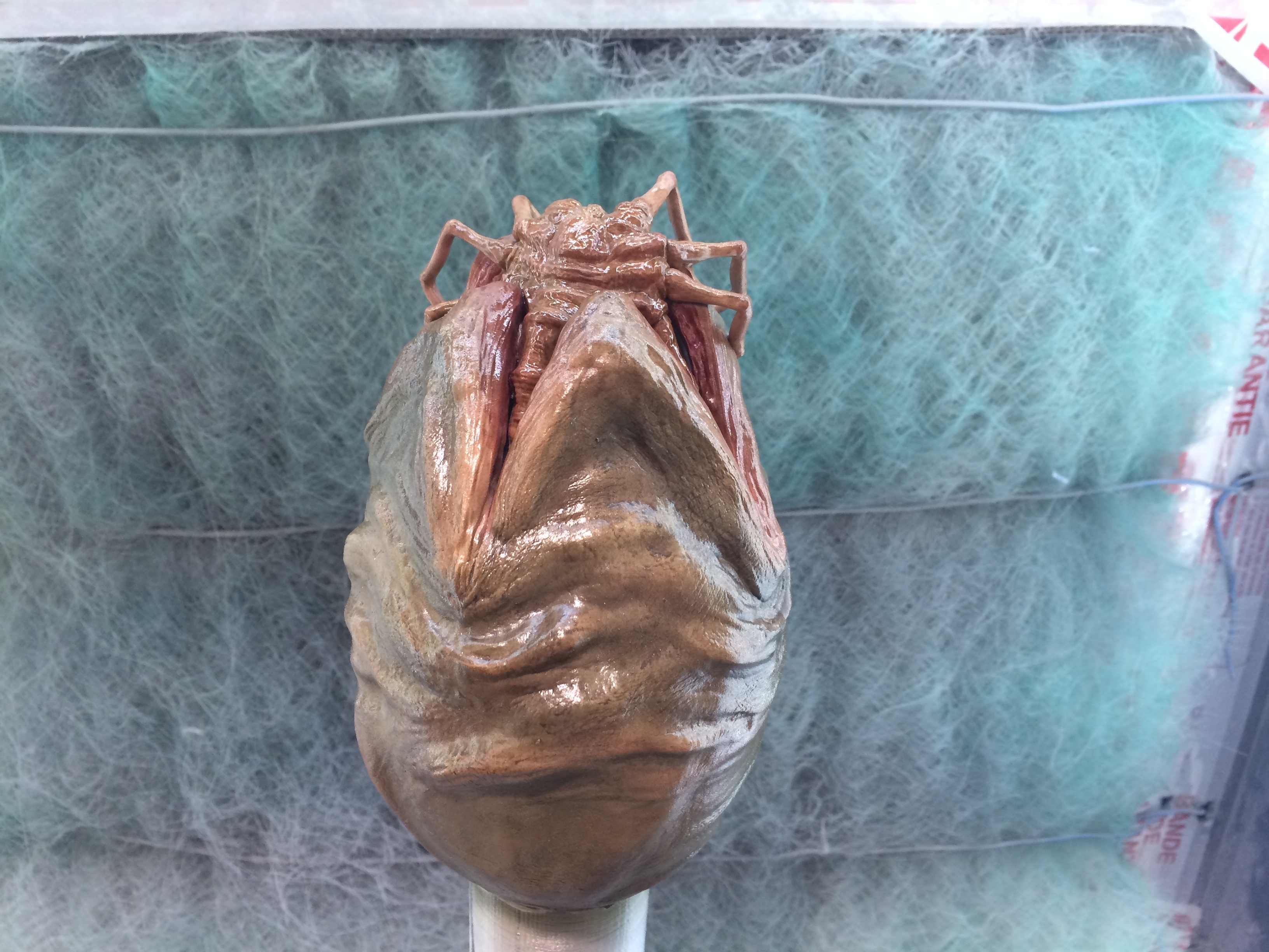 STL file facehugger egg , alien, stl print file 🥚 ・Design to download ...