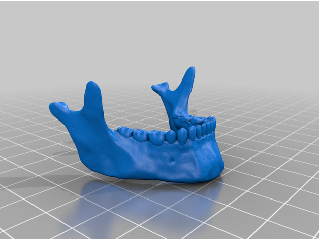 💀 human skull・Free STL File for ・Cults