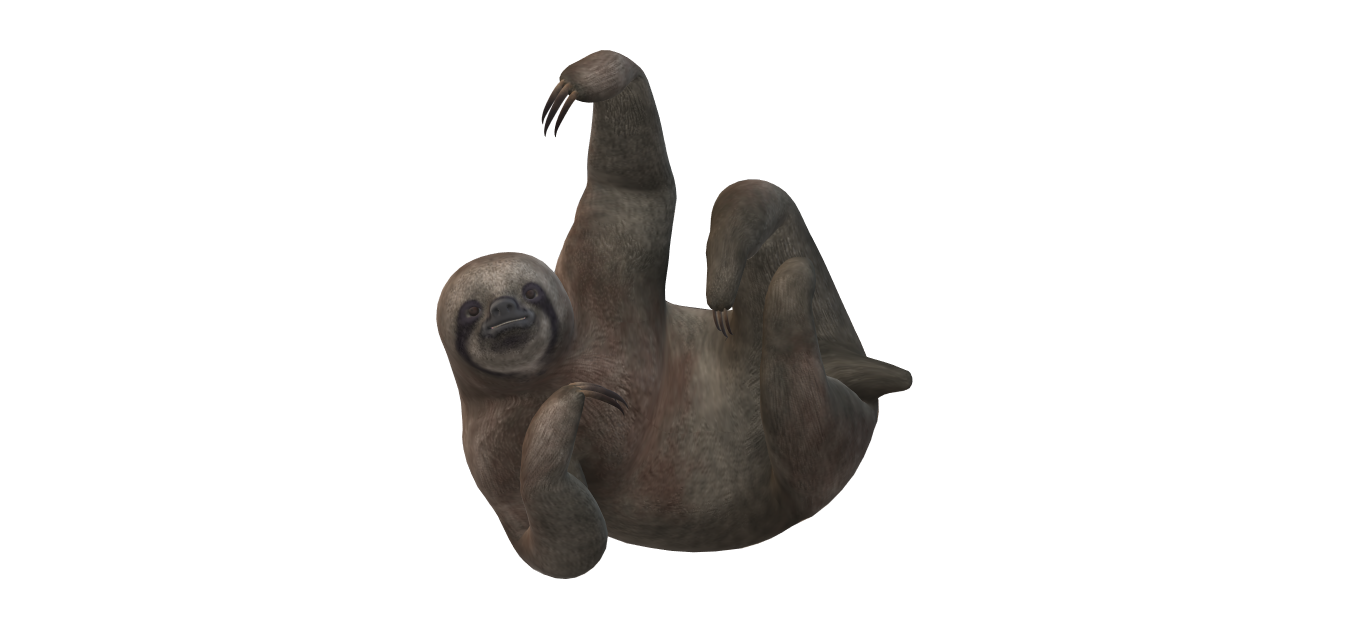 🦥 Real Sloth・Free STL File for ・Cults