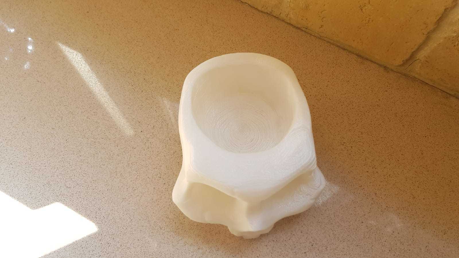 STL file Skull Bowl 💀 ・3D printable design to download・Cults