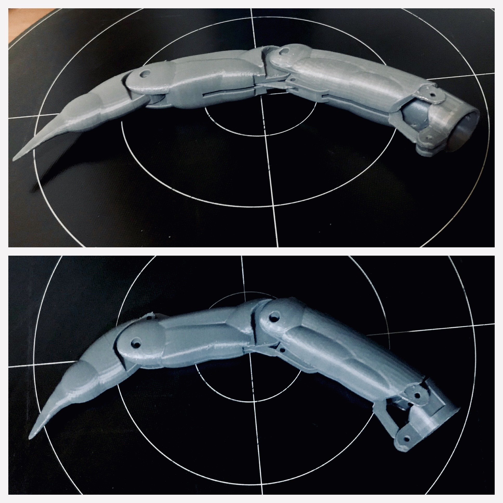 3D printed Articulated Dragon Claws 2.0 UPDATE. • made with Anycubic ...