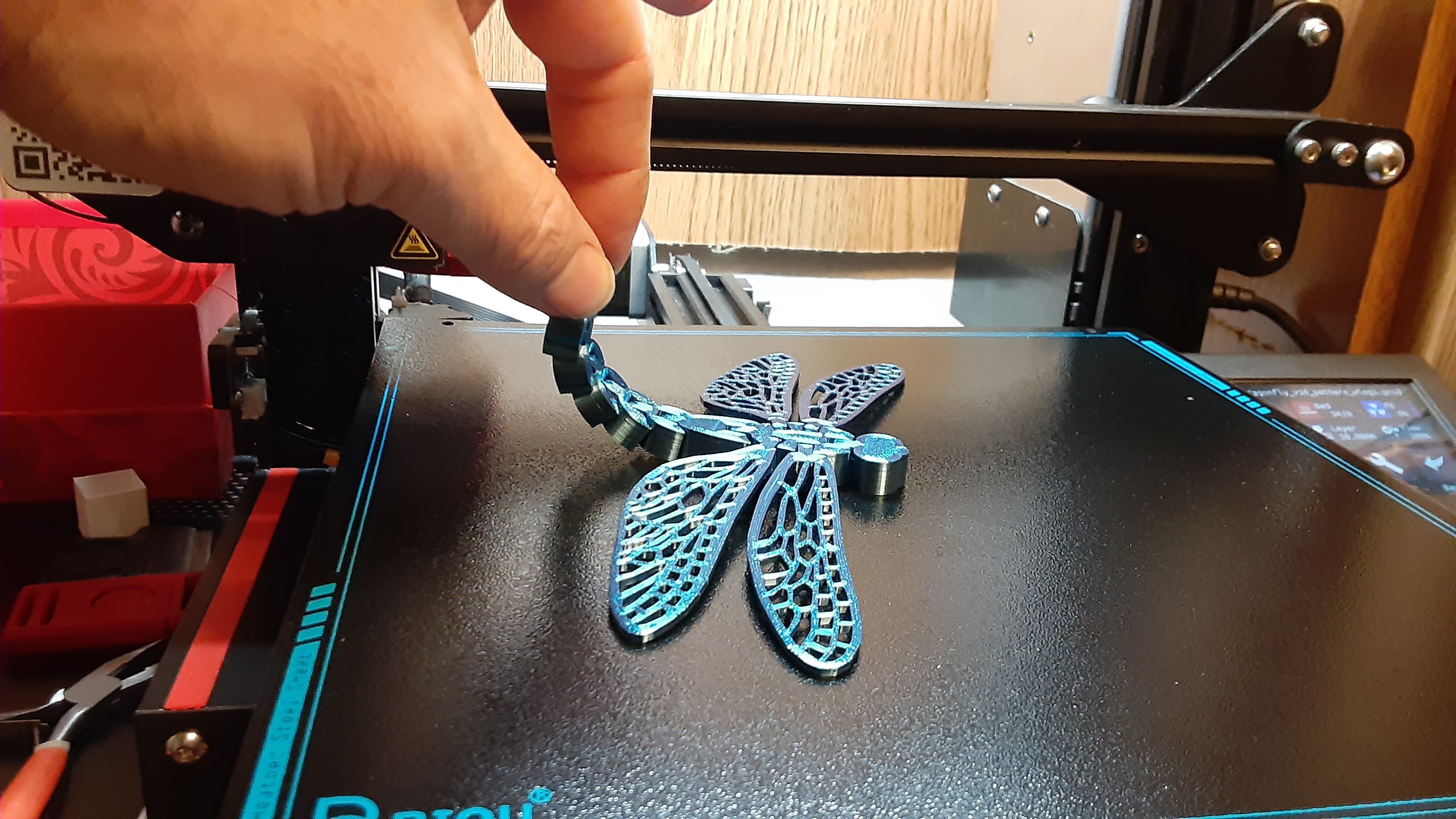 3D printing Floppy Dragonfly・Cults