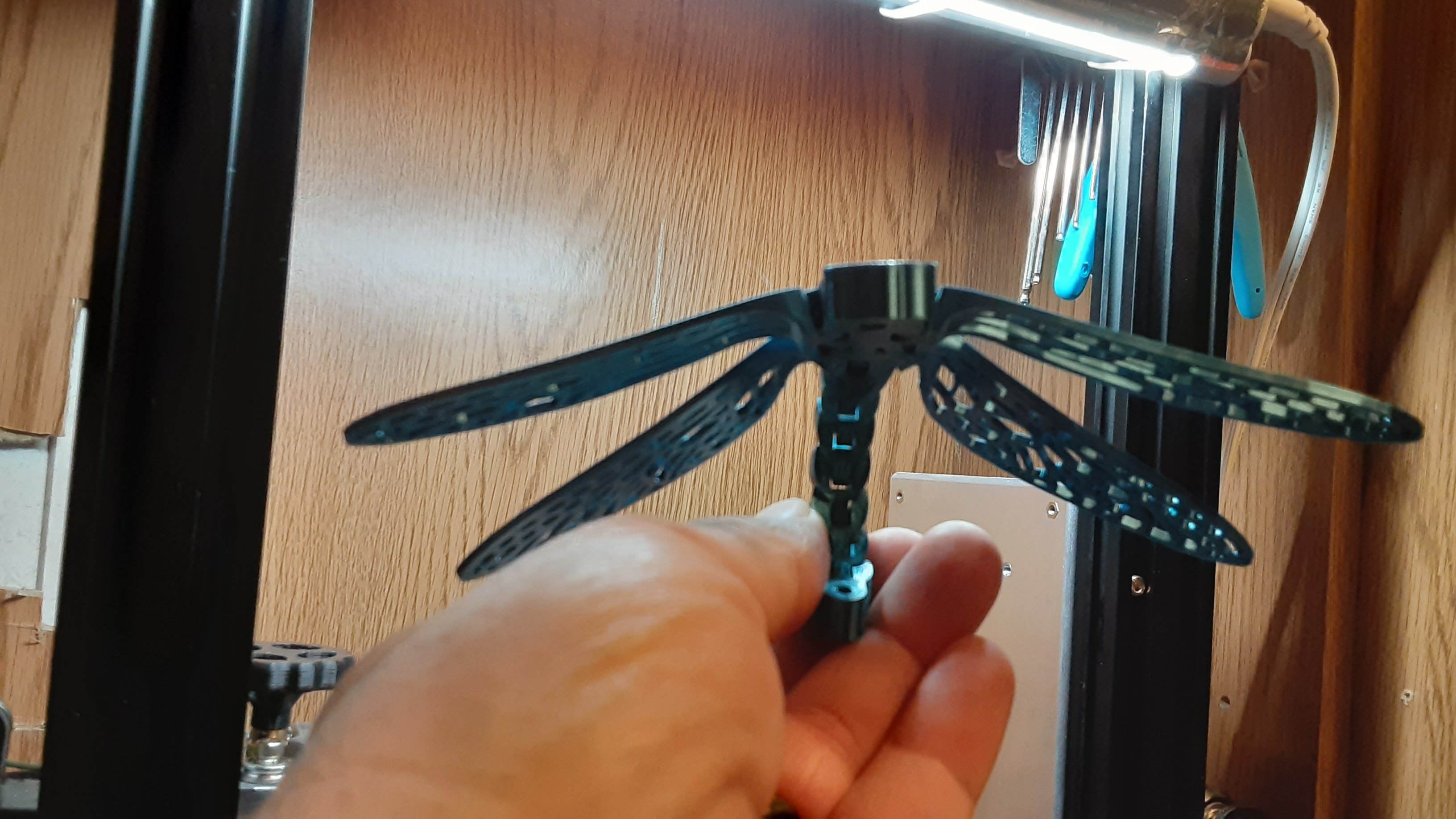 3D printing Floppy Dragonfly・Cults