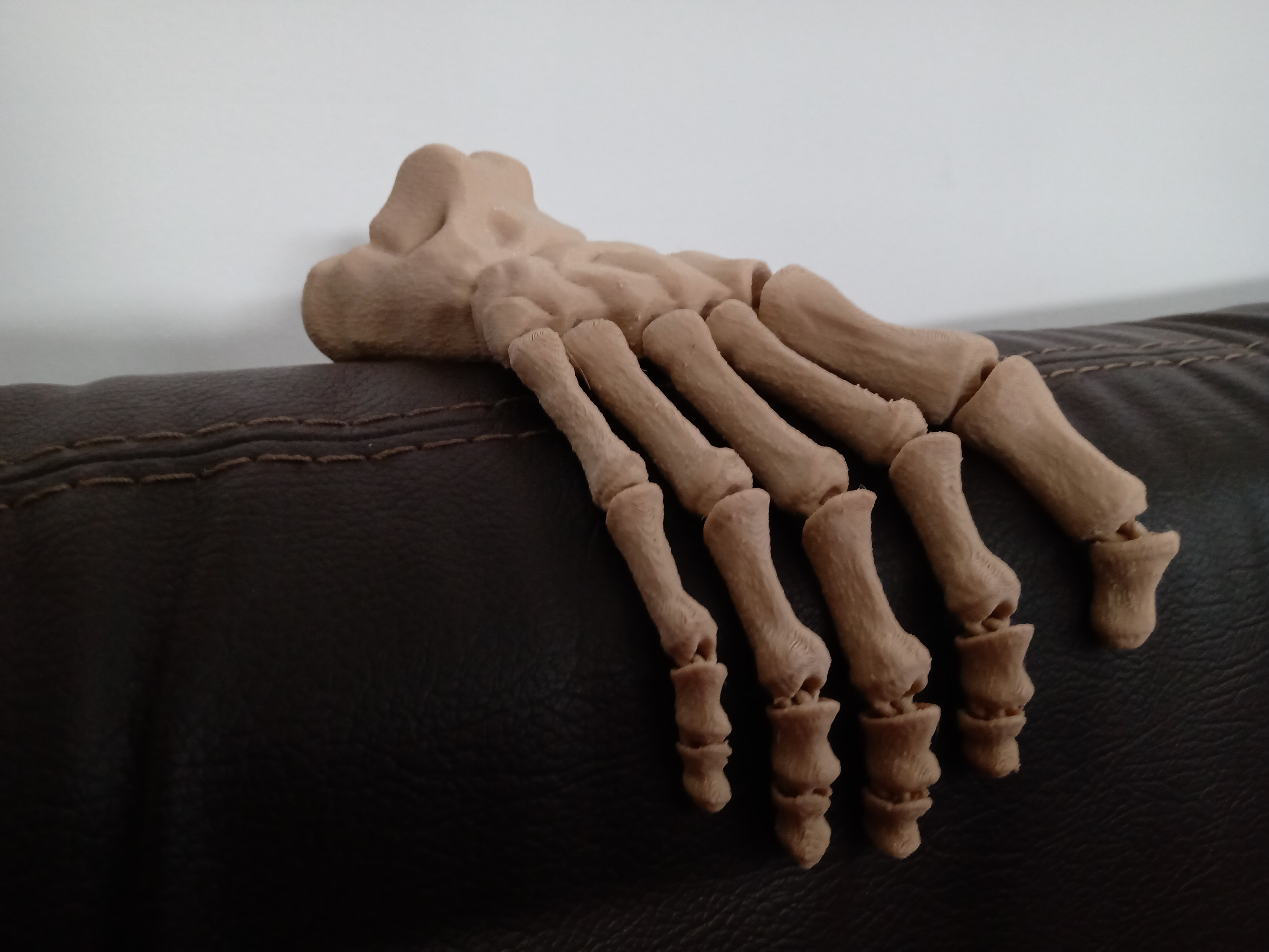 STL file FLEXIBLE SKELETON FOOT, flexible skeleton foot 💀 ・3D printer ...