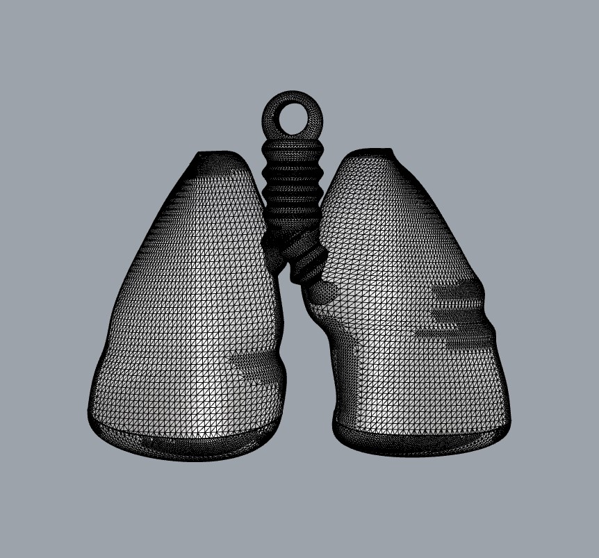 STL file Lung keychain 🗝️ ・3D print design to download・Cults