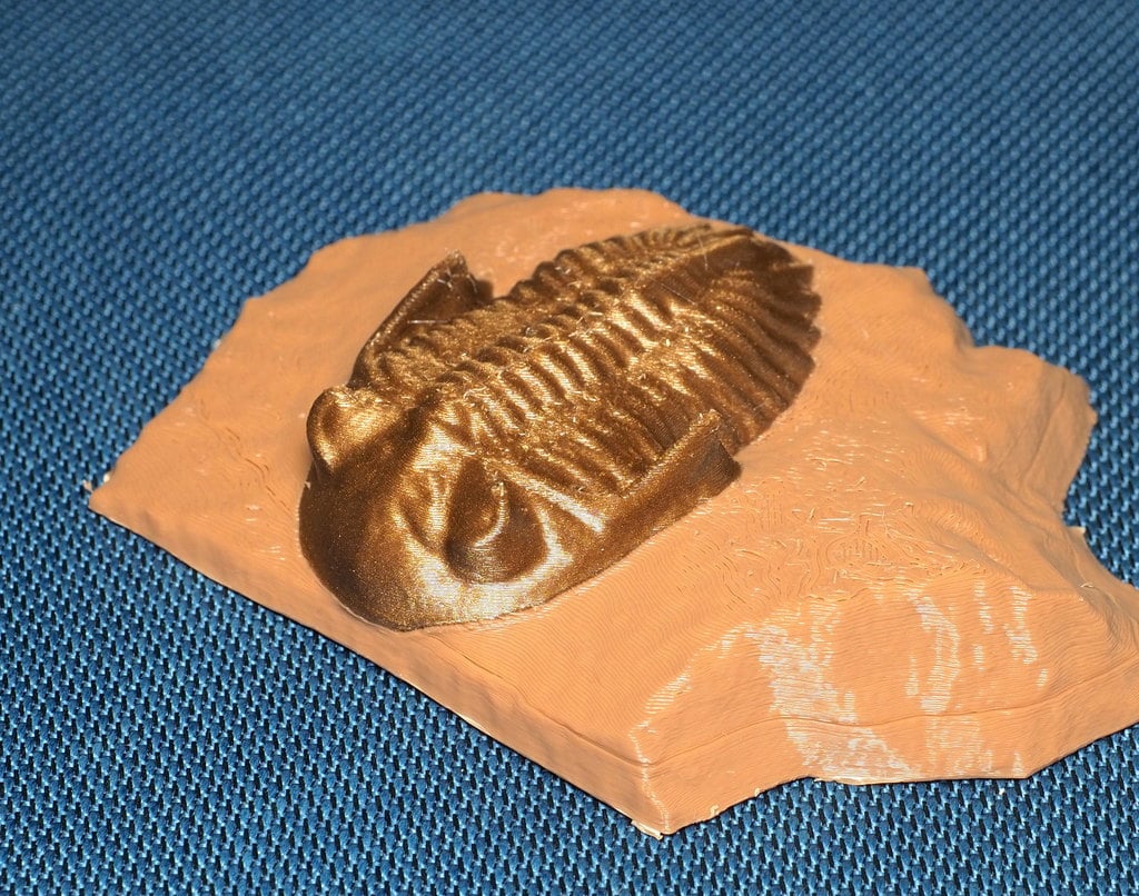 3D printing Trilobite (P149623)・Cults
