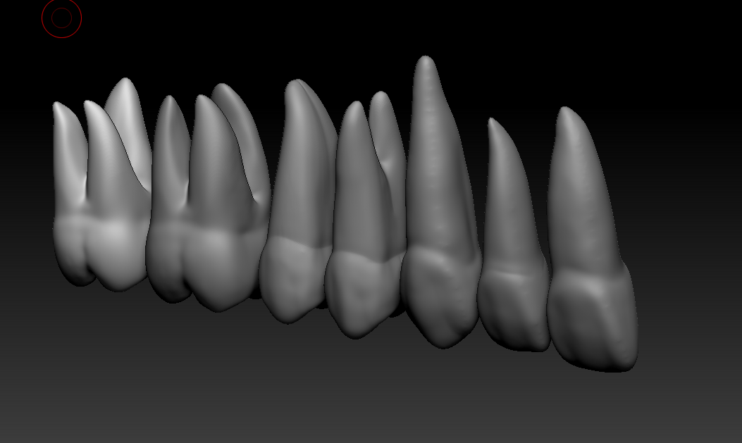 🦷 full anatomy upper and lower teeth 1・Free STL File for ・Cults