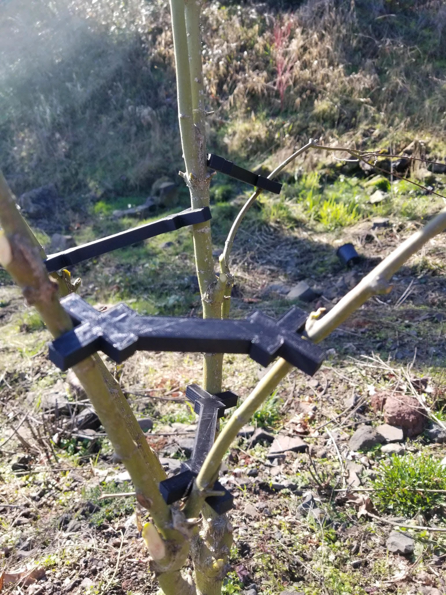 🌳 Tree Branch Spreader・Free STL File for ・Cults