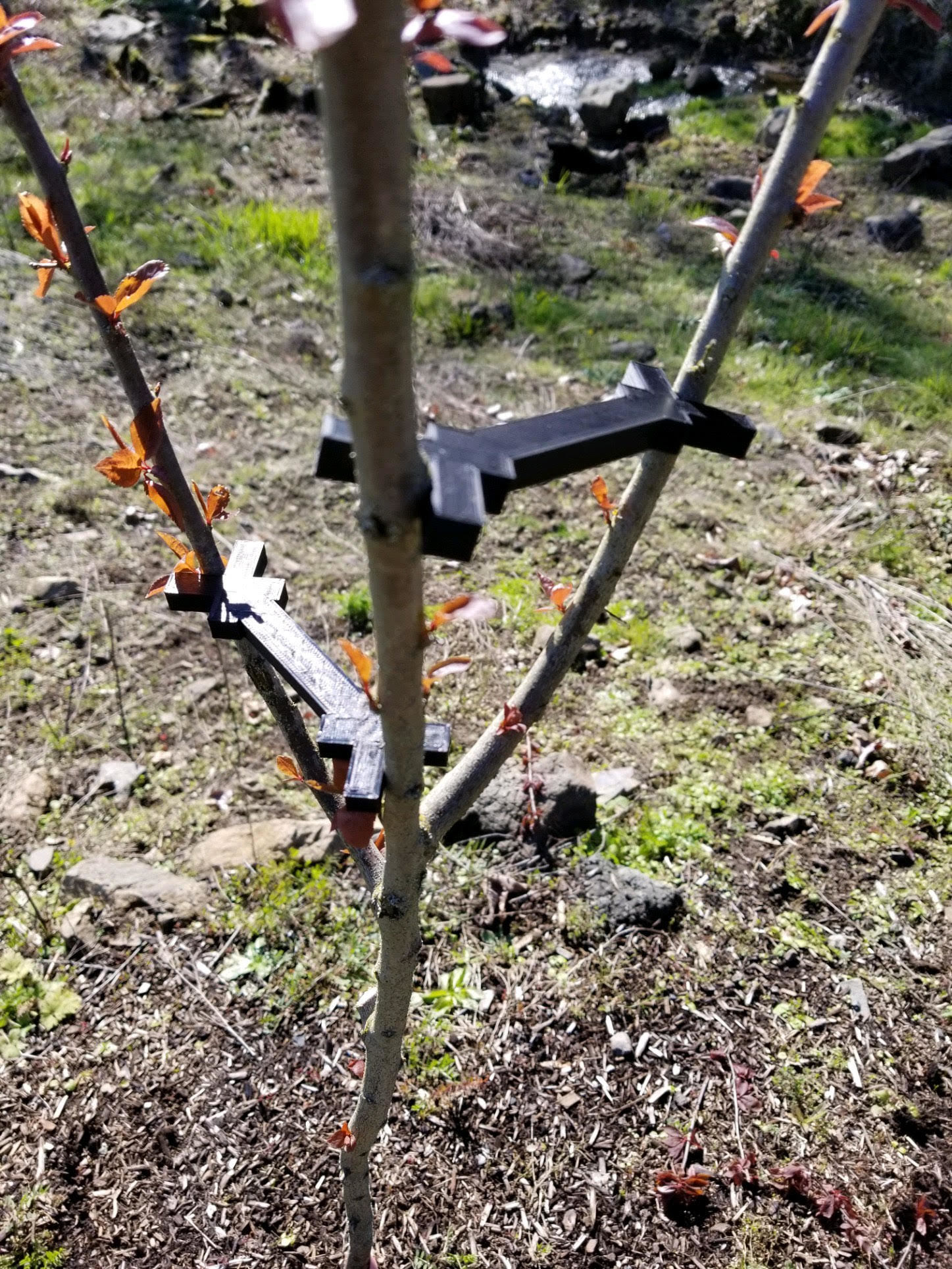 🌳 Tree Branch Spreader・Free STL File for ・Cults