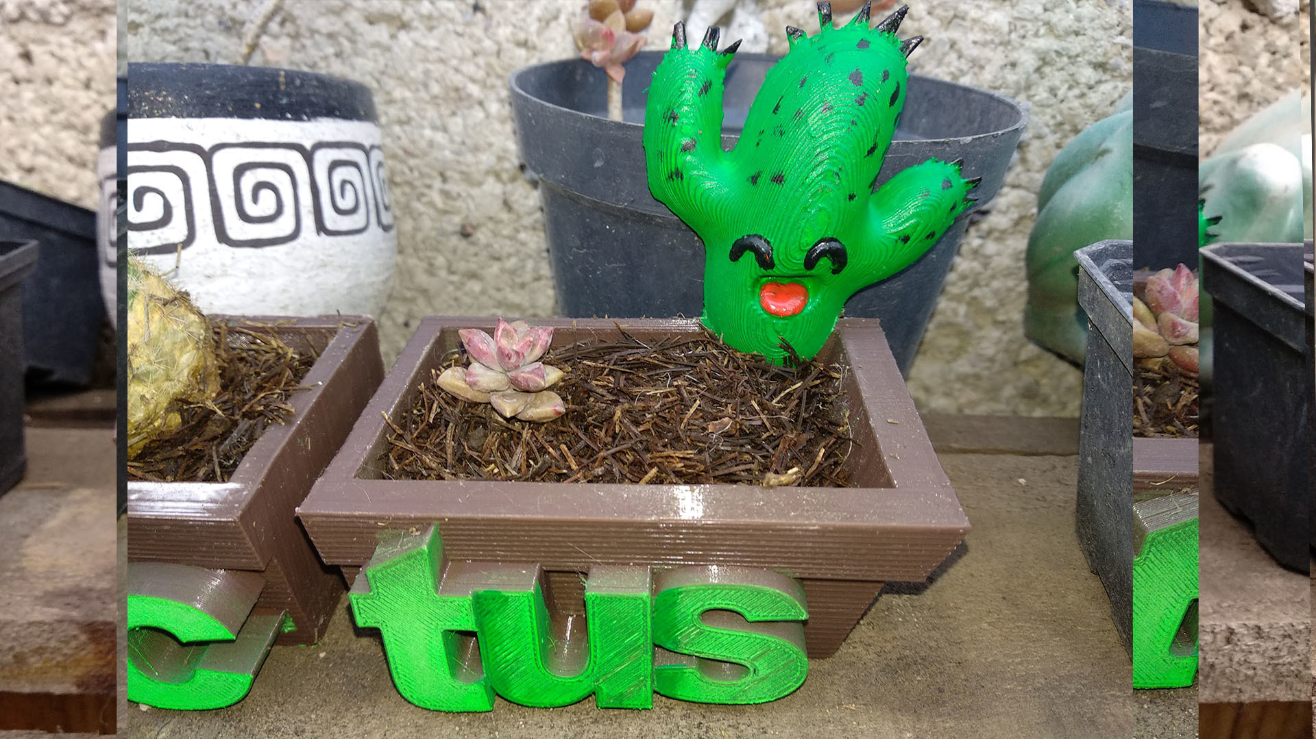 🌵 Maseta Cactus・ STL File for ・Cults