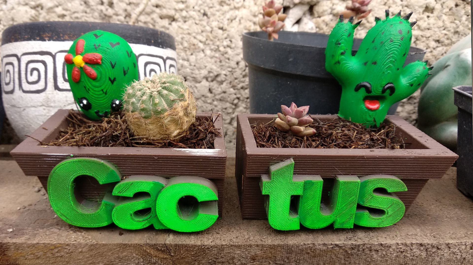 🌵 Maseta Cactus・ STL File for ・Cults