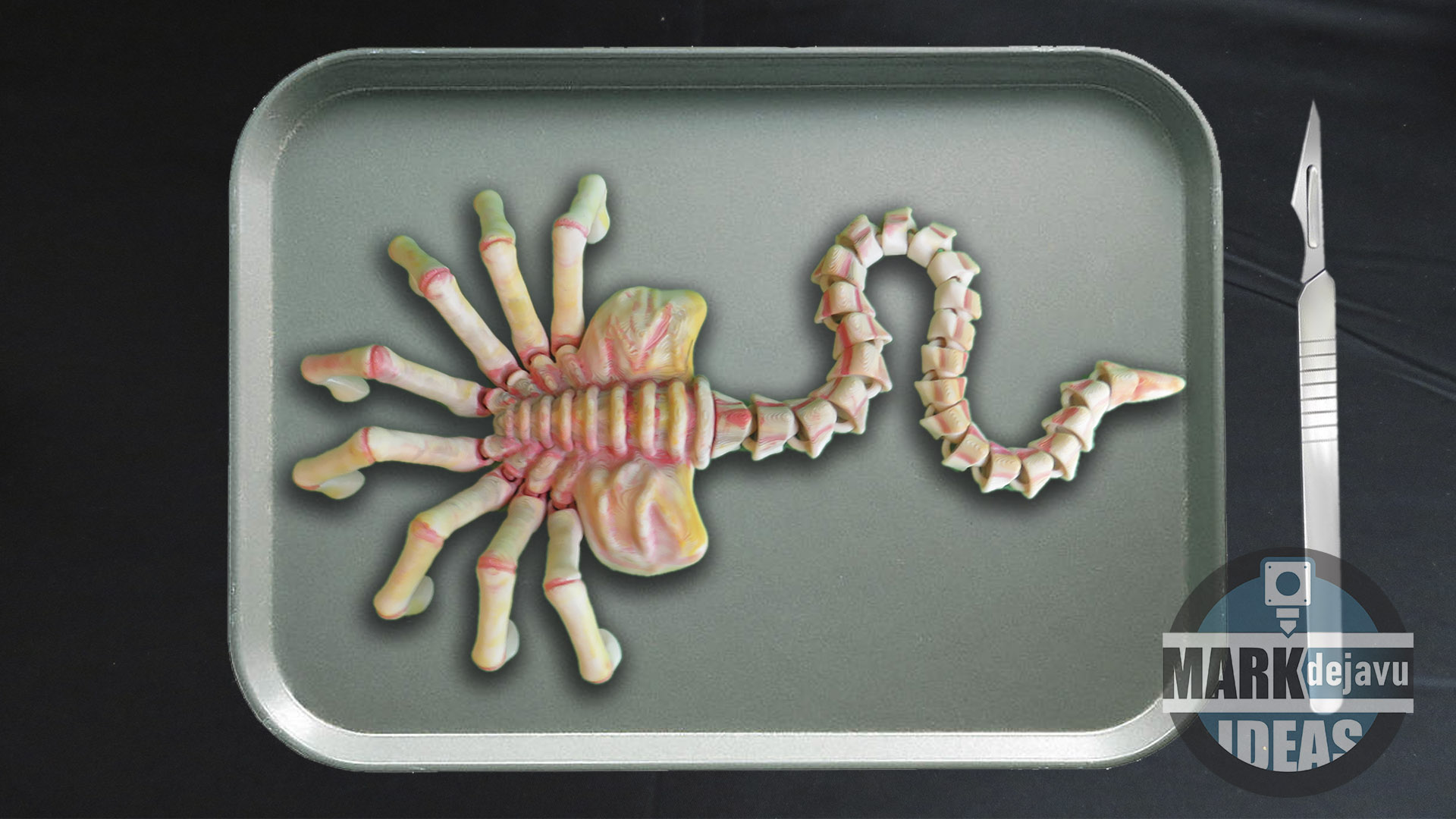 👽 ALIEN TWO PACK FLEXI FANART・ STL File for ・Cults