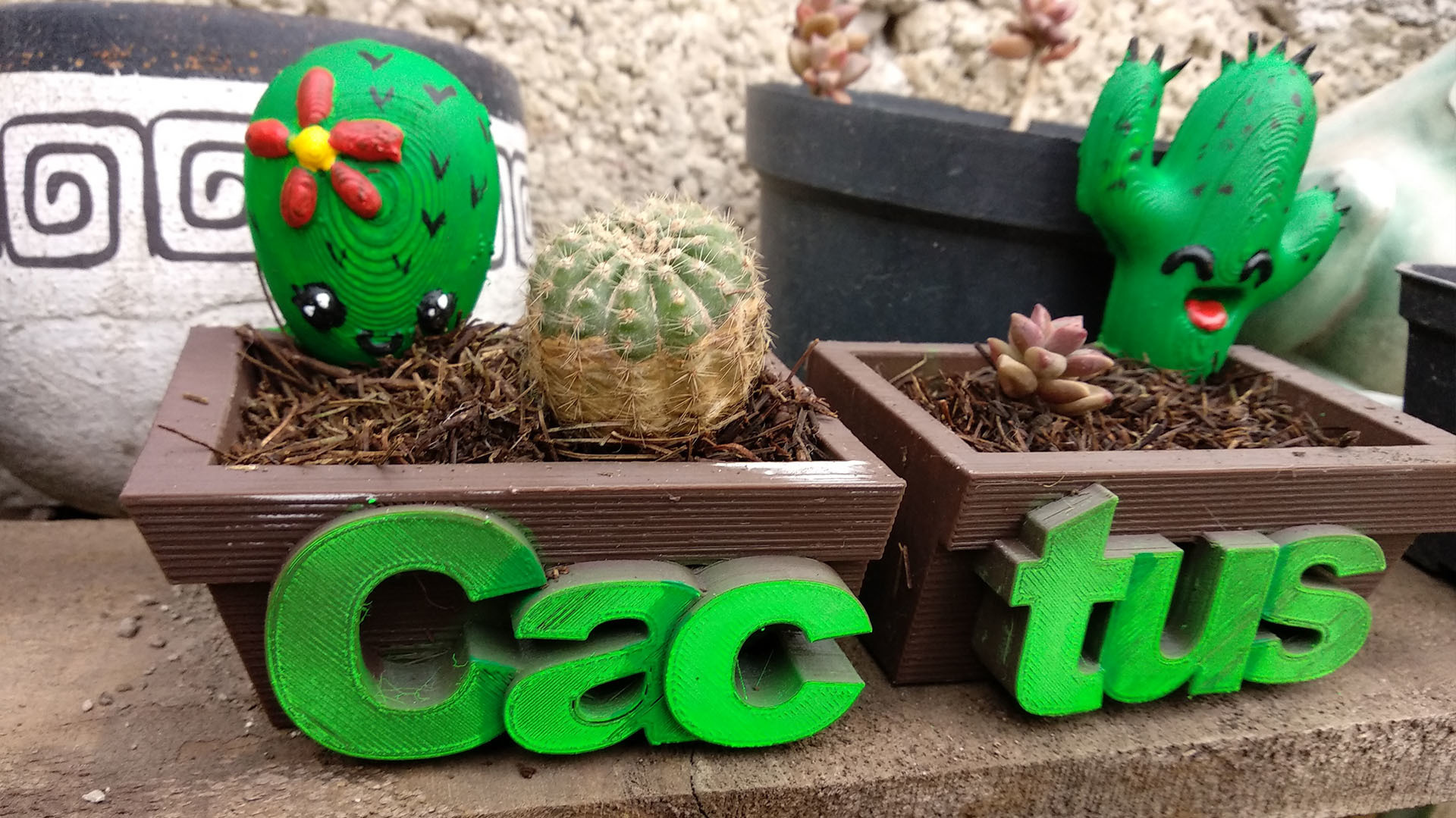 🌵 Maseta Cactus・ STL File for ・Cults