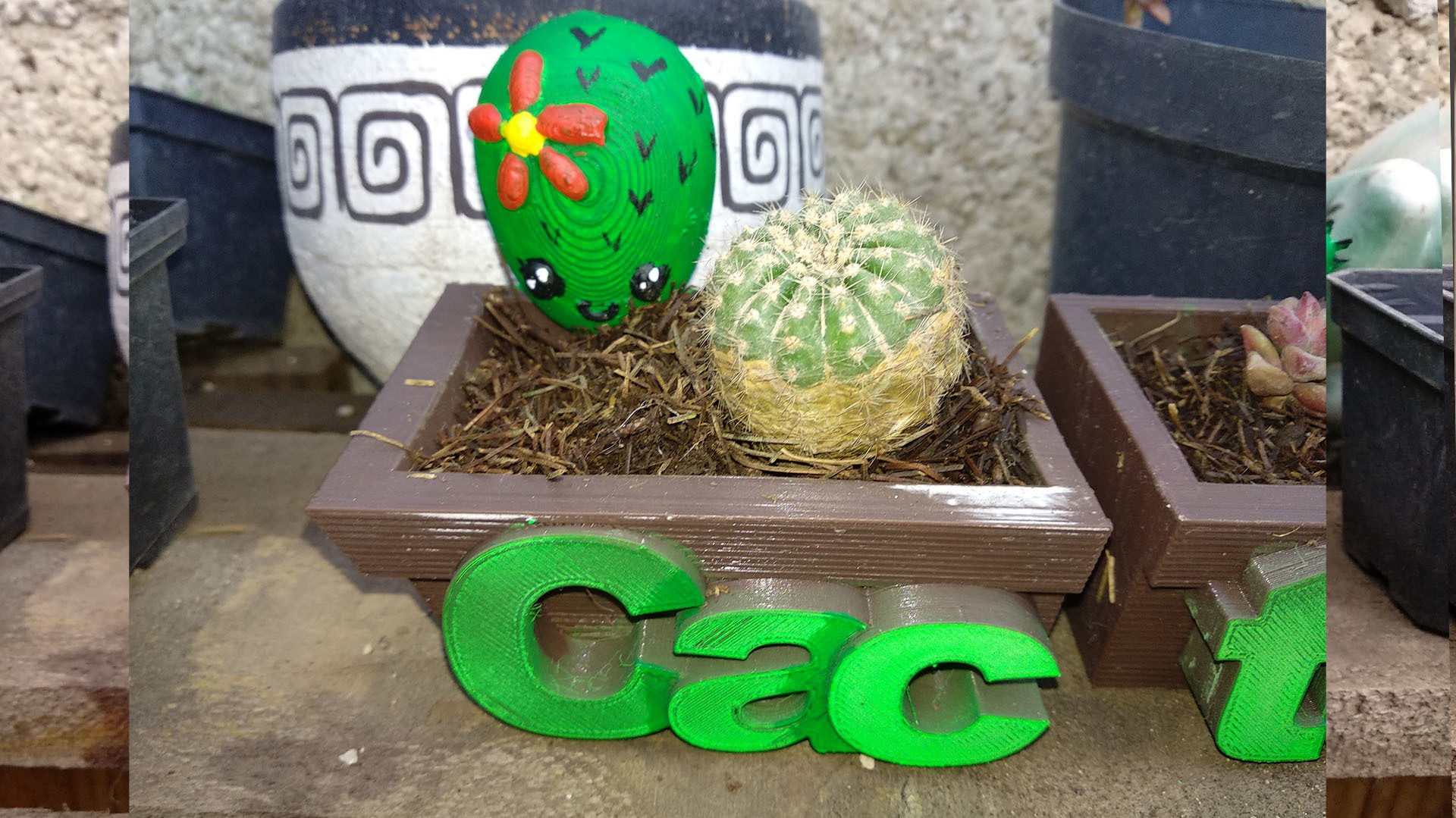 🌵 Maseta Cactus・ STL File for ・Cults