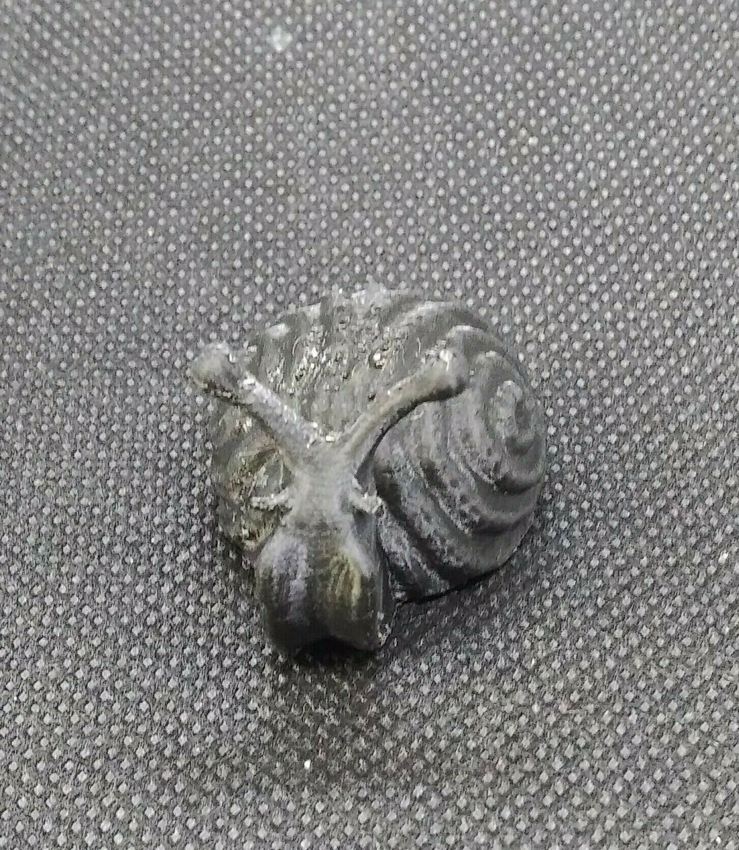 STL file Sluggy Snail 🐌 ・3D printable model to download・Cults