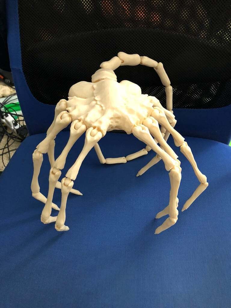 3D printing Agisis Ultimate Alien Face Hugger (40in x 23in - LIFE SIZE ...
