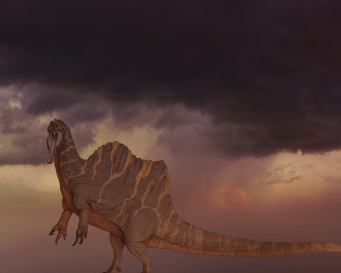 STL file Realistic Dinosaur Spinosaurus real Dimentions Female 🦖 ・3D ...