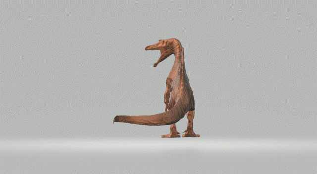 🦖 Realistic Dinosaur Spinosaurus real Dimentions Female・ STL File for ...