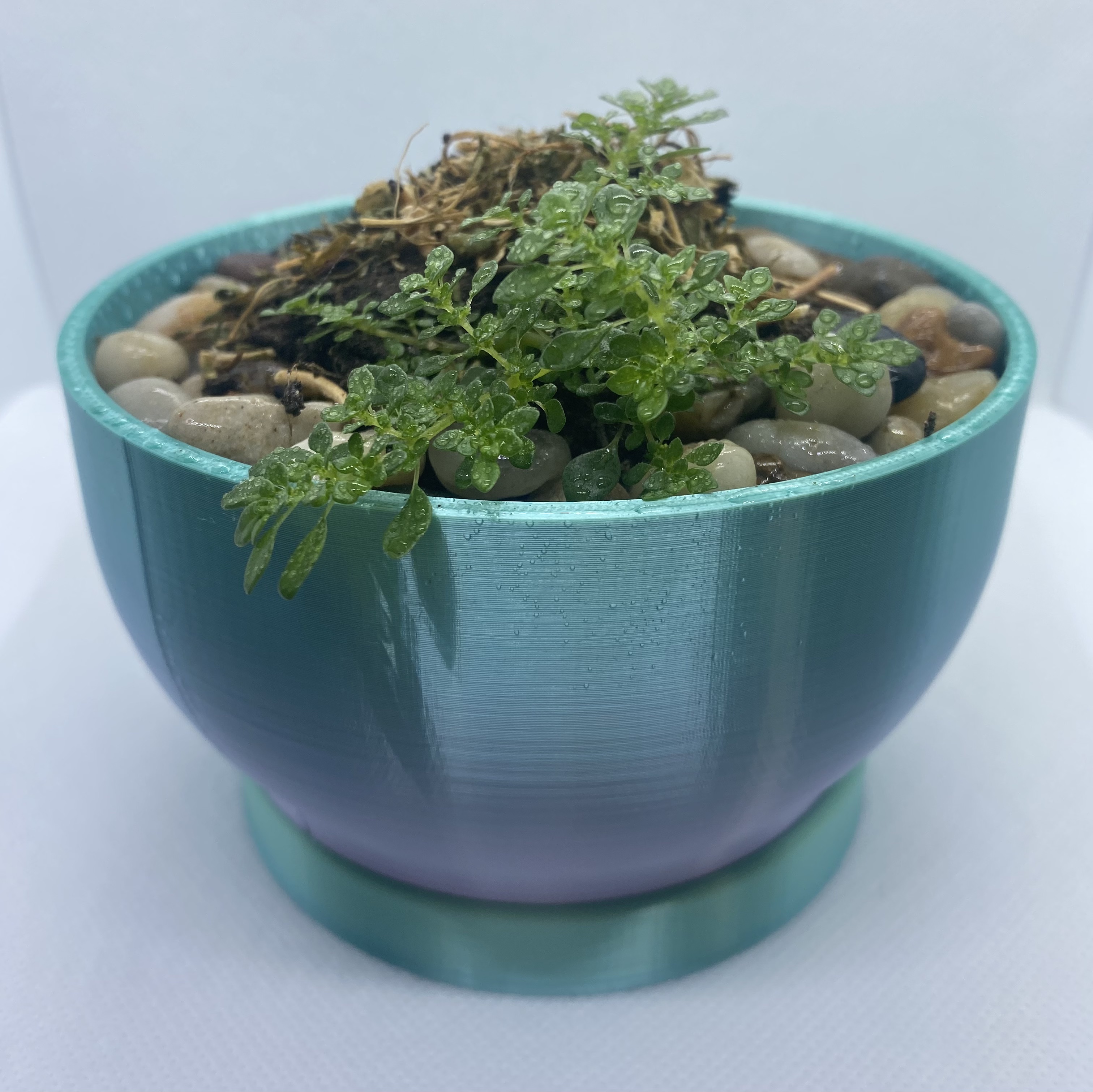 STL file Simple Decorative Pot 🪴・3D printable design to download・Cults