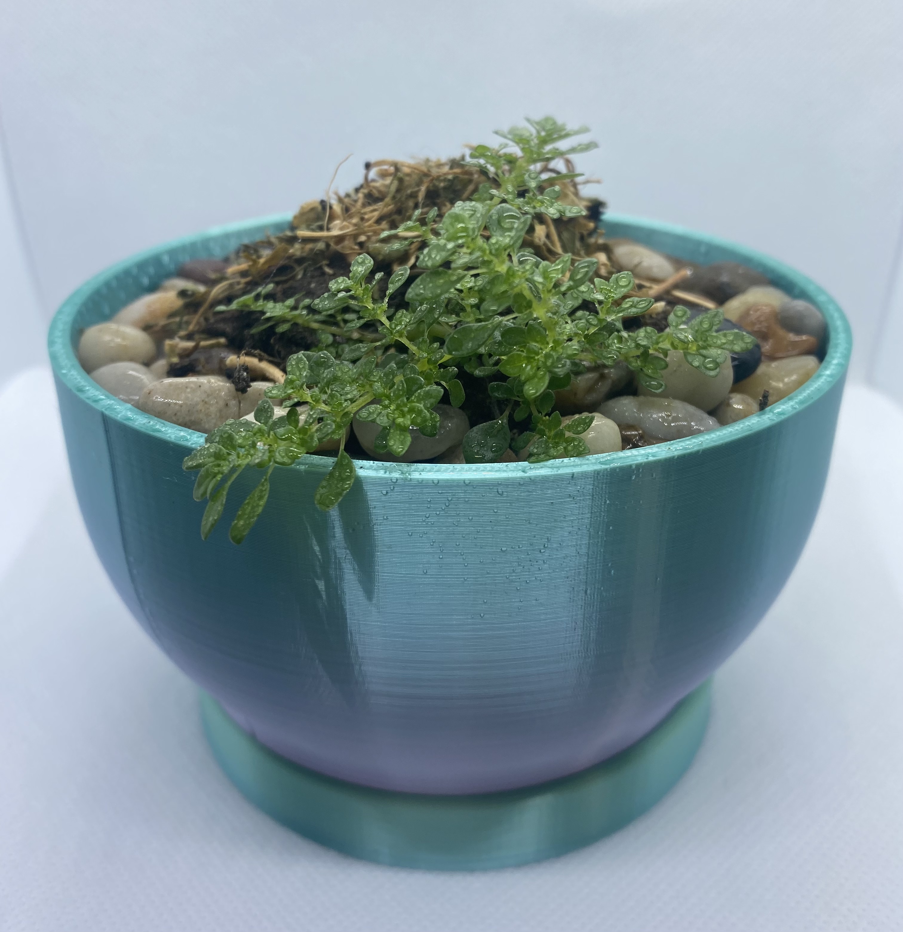 STL file Simple Decorative Pot 🪴・3D printable design to download・Cults