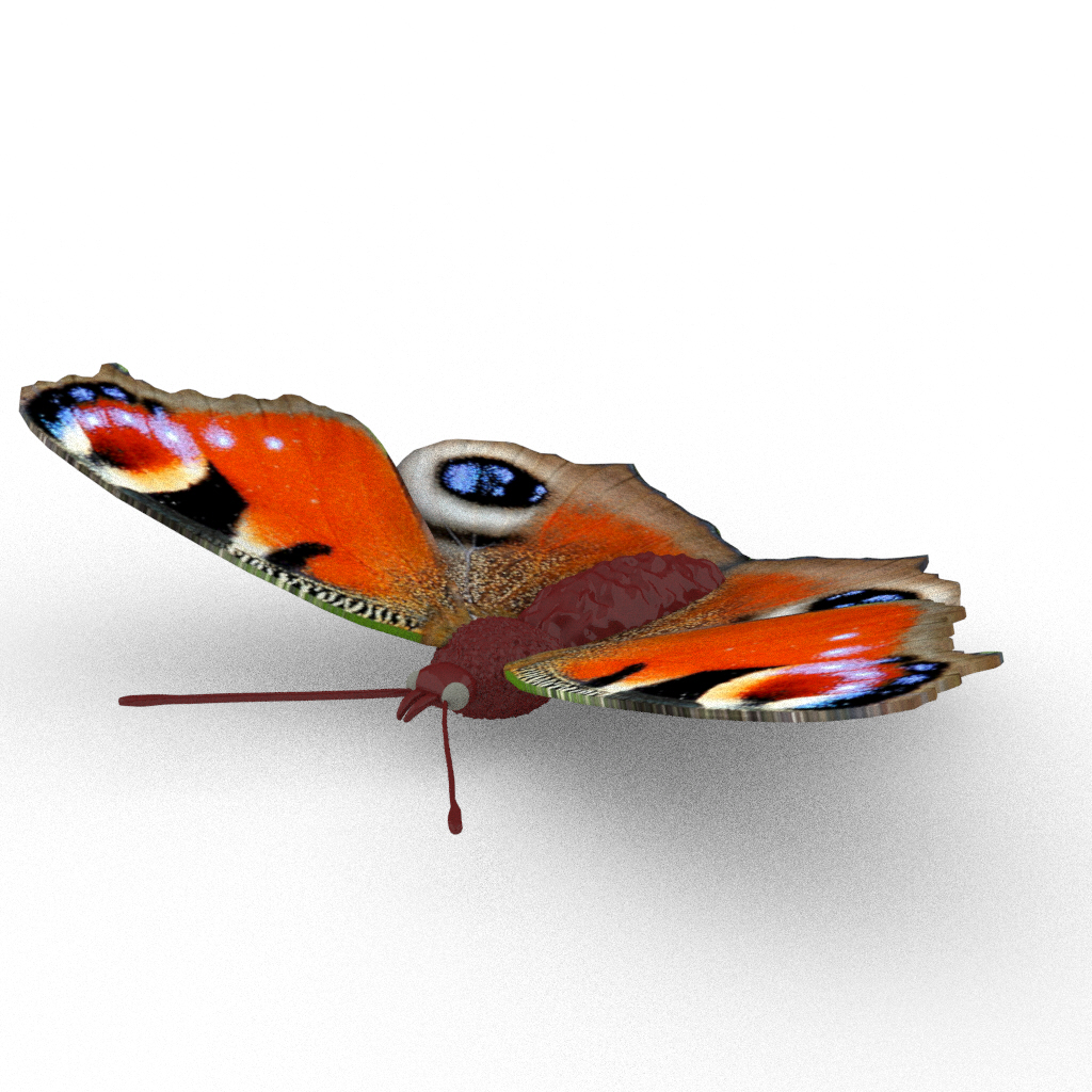 Fichier STL papillon paon 👽 (3MF)・Objet pour imprimante 3D à ...