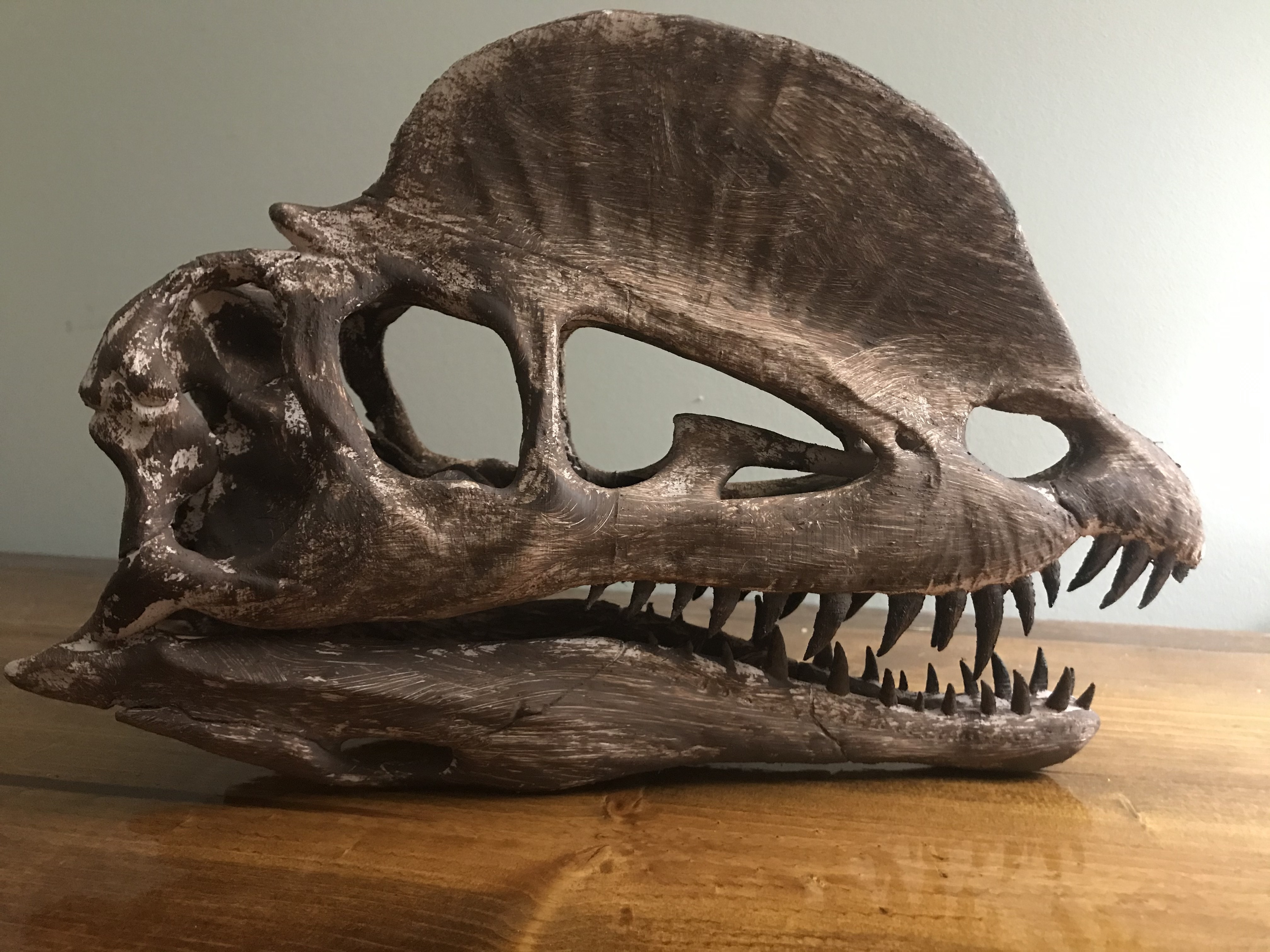 3D printable Dilophosaurus Skull • made with Prusa・Cults
