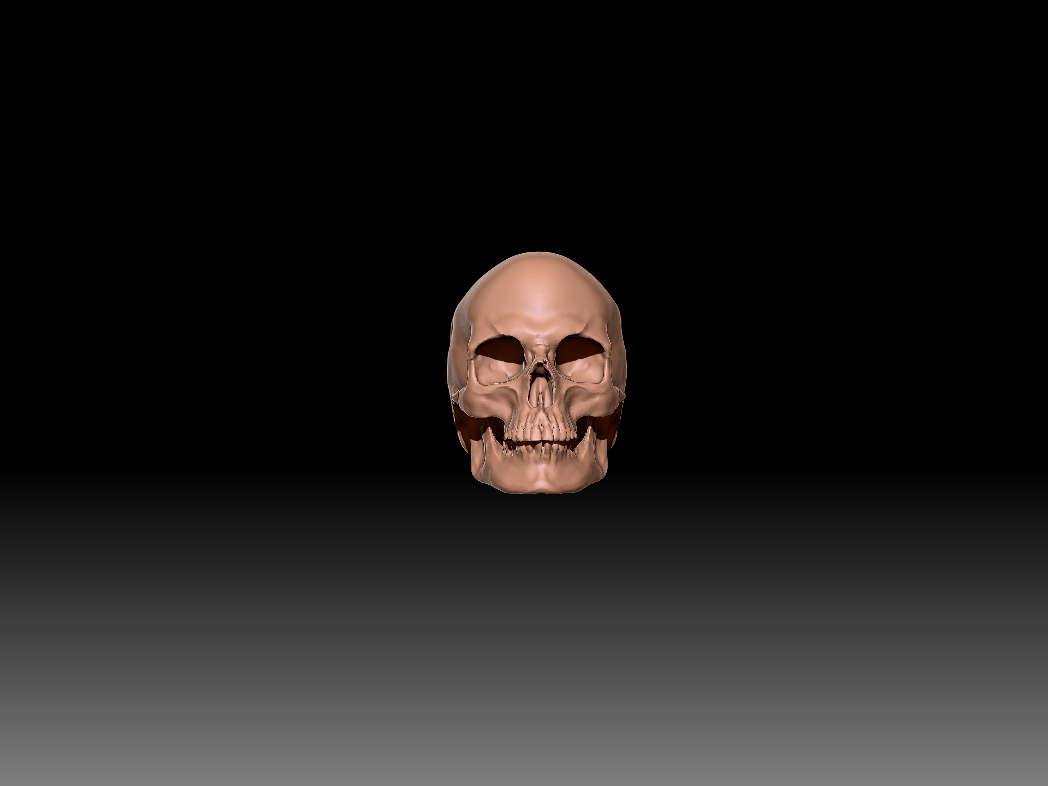 💀 Skull Container・ STL File for ・Cults