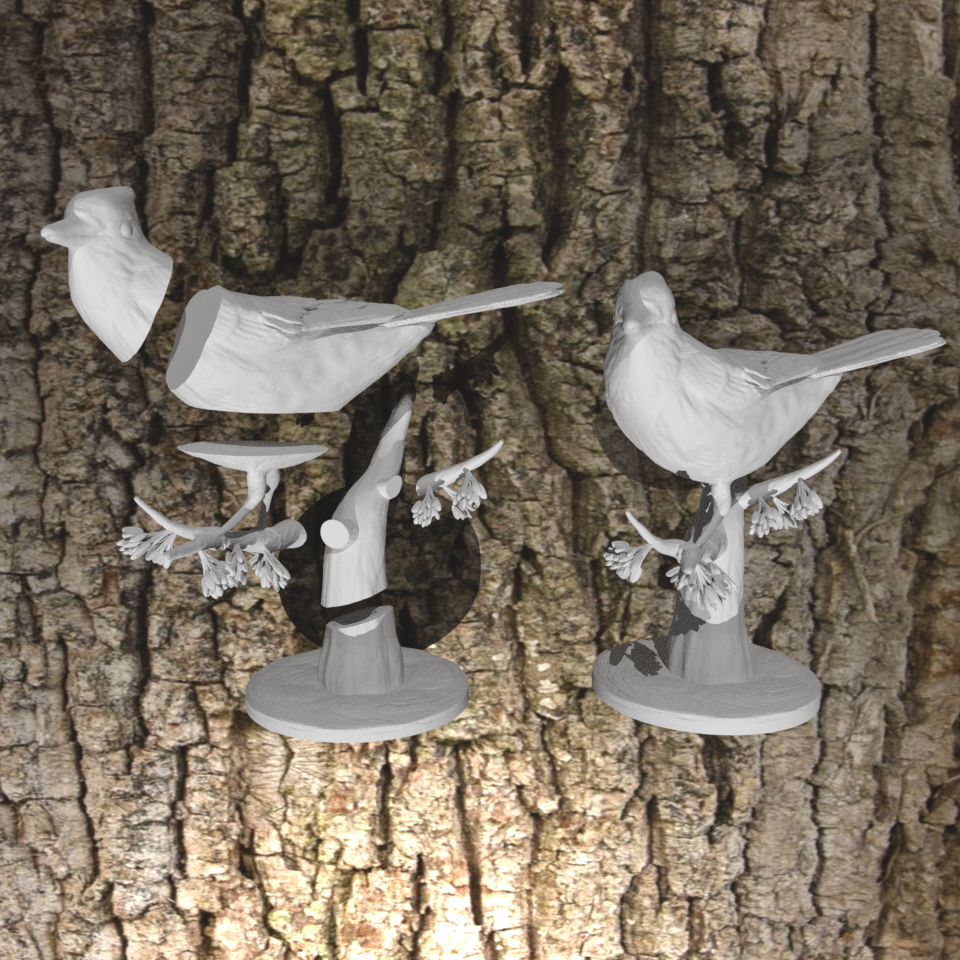 🐦 Blue Jay・ STL File for ・Cults