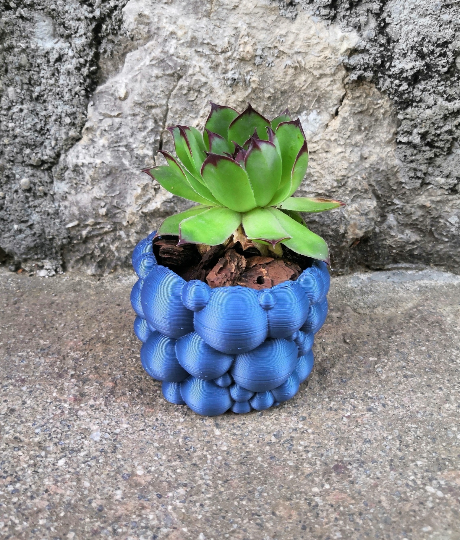 STL file Bubble pot 🪴 ・3D printable design to download・Cults