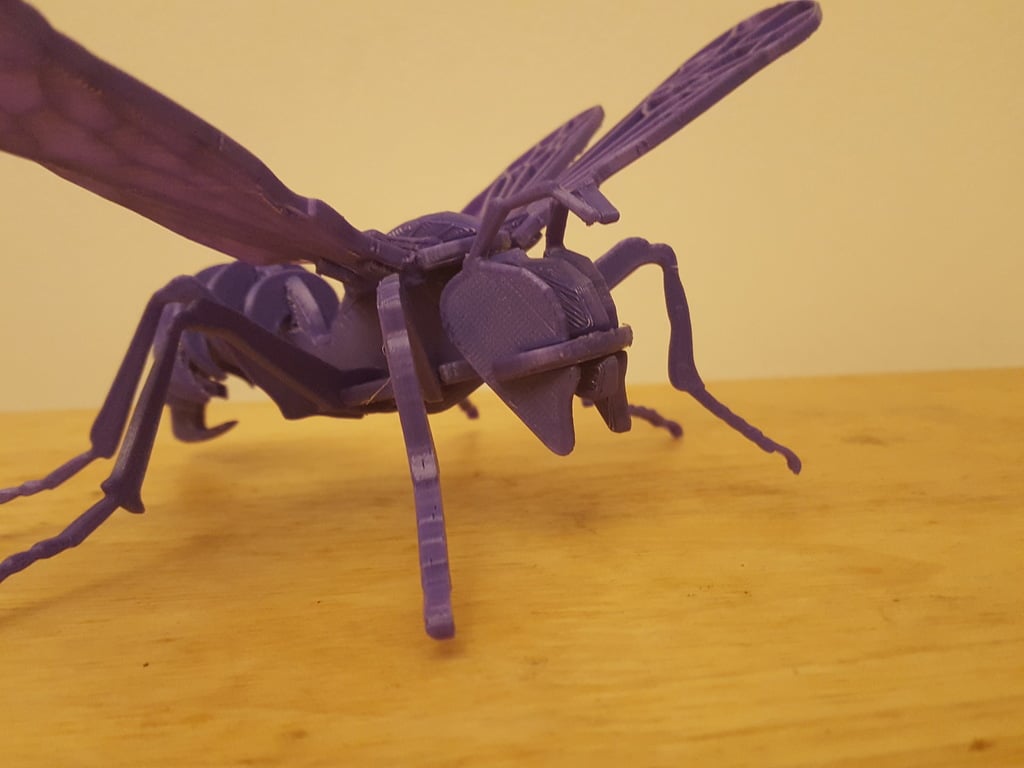 3D print bee puzzle・Cults