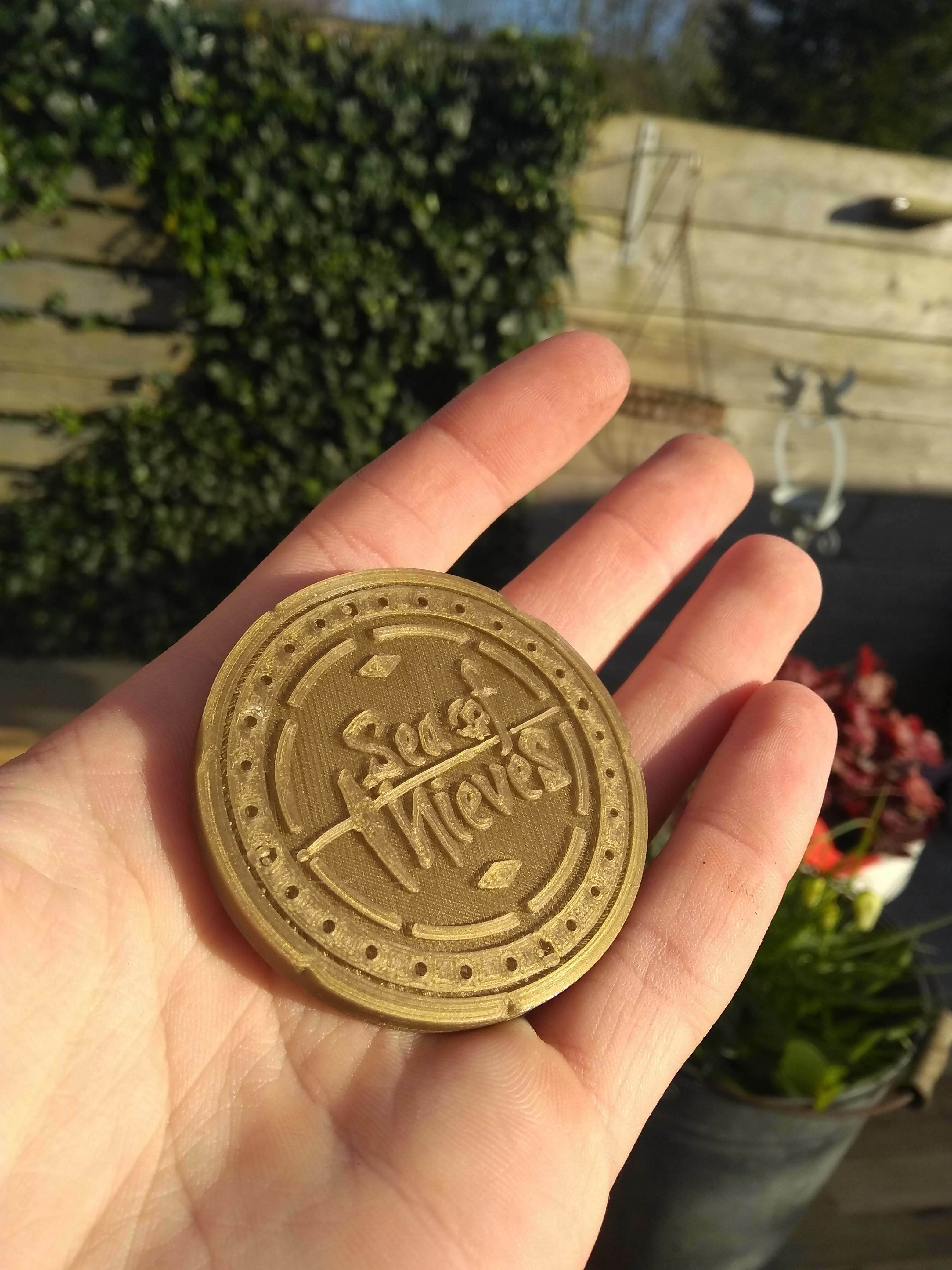 STL file Sea Of Thieves Coin 🪙・3D printable design to download・Cults