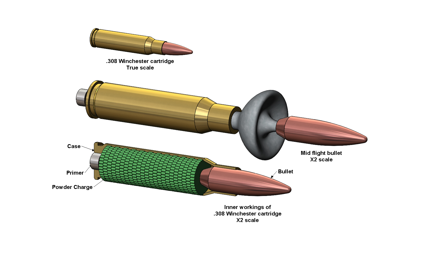 Archivo STL Anatomía de un modelo de impresión en 3D de un cartucho 308 ...
