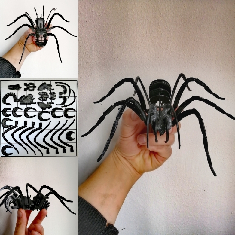 STL file Spider to assemble 🕷️ ・3D printable model to download・Cults