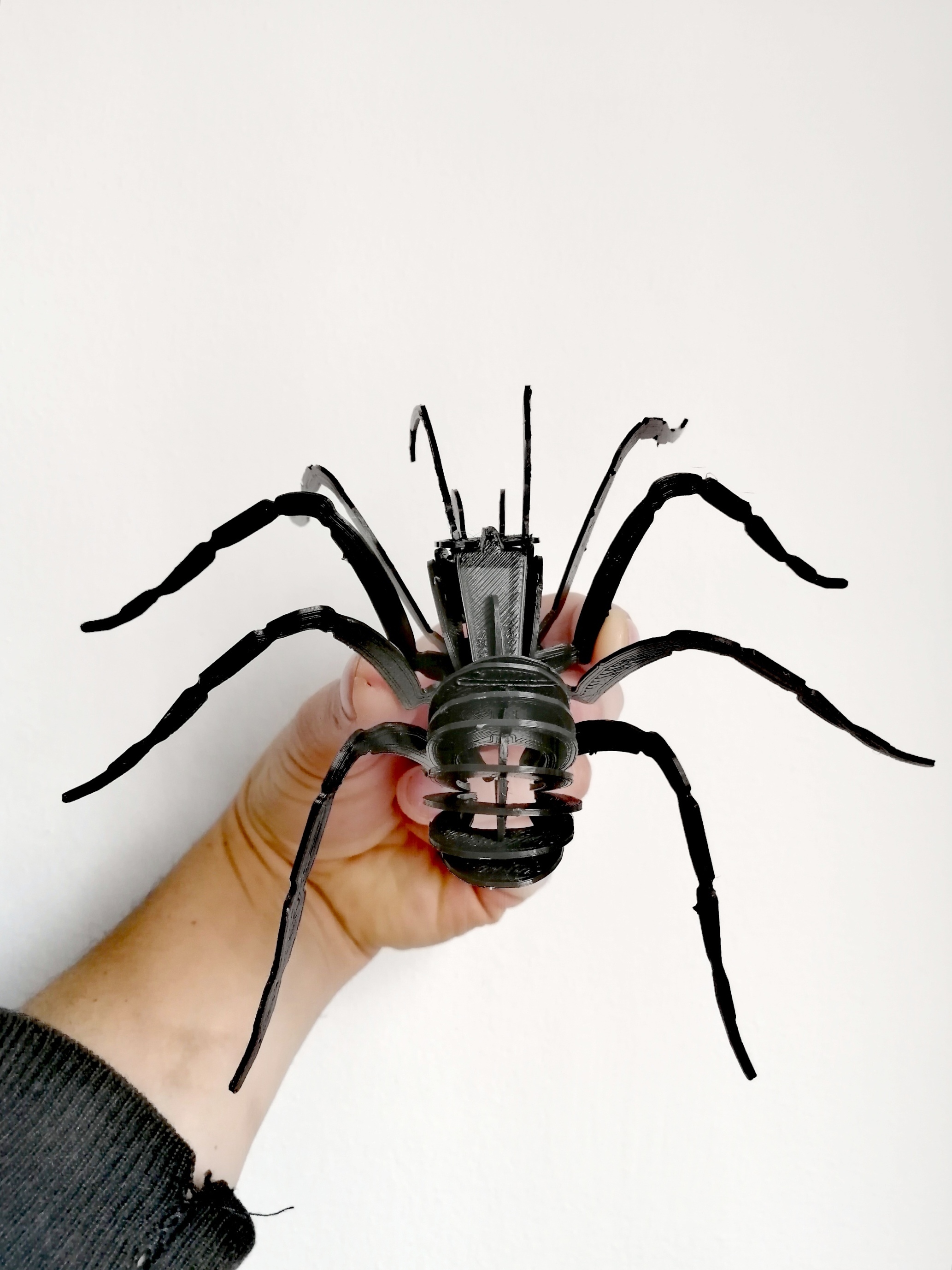 STL file Spider to assemble 🕷️ ・3D printable model to download・Cults