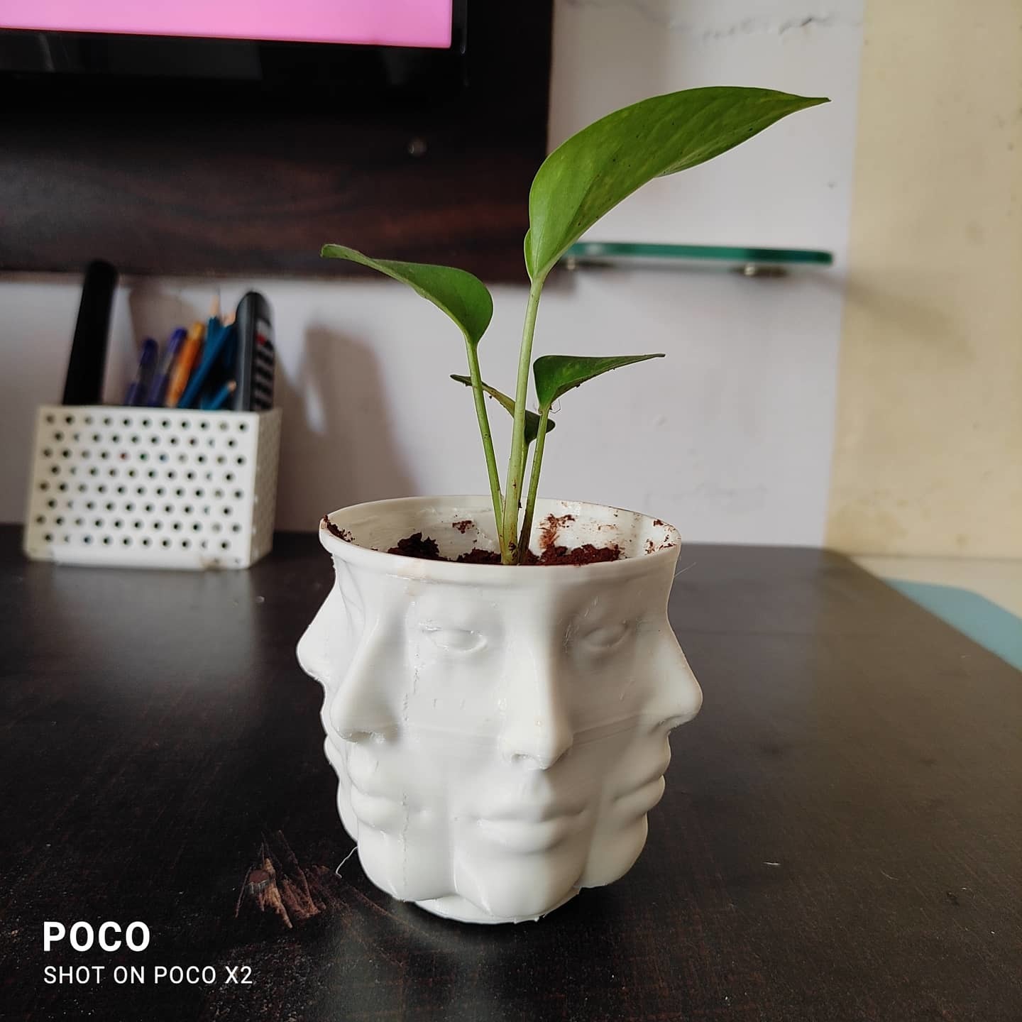Free STL file PolyHead Pot 🪴 ・3D printing idea to download・Cults