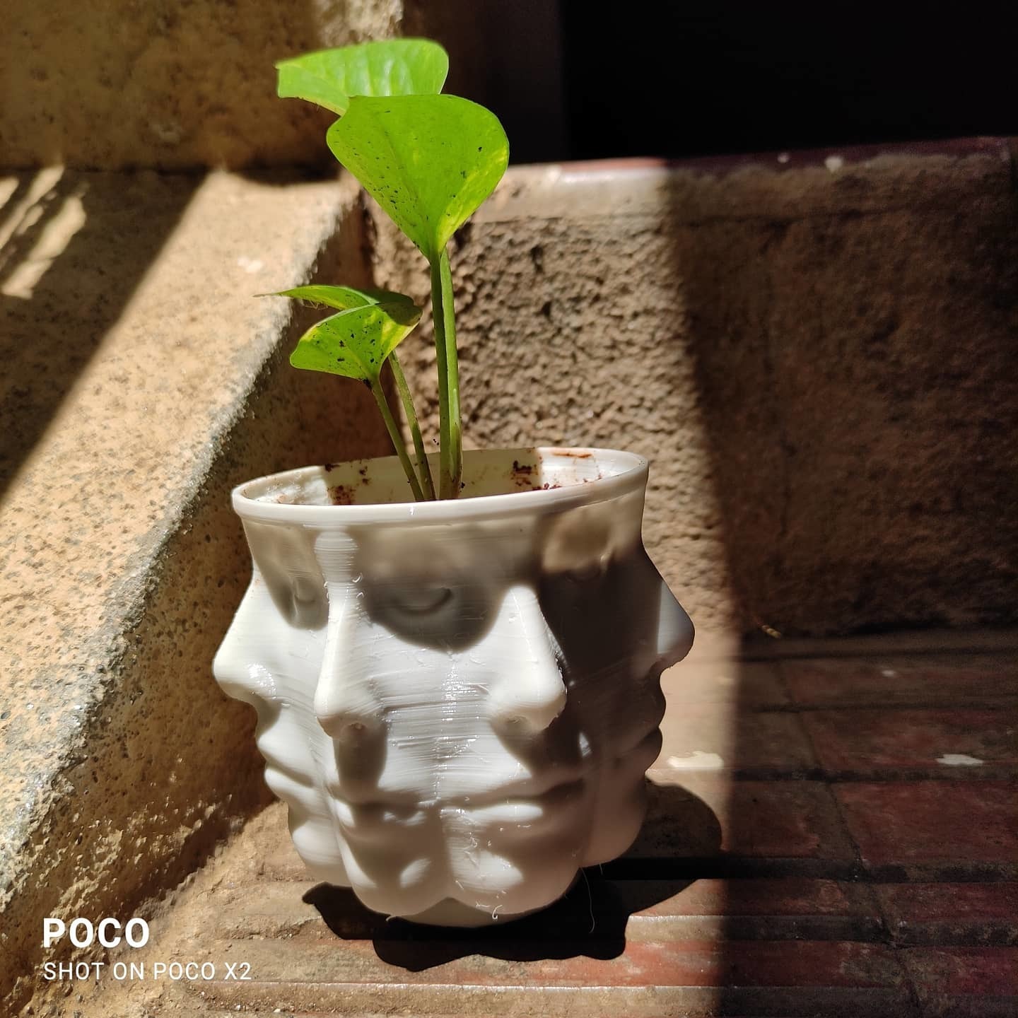 Free STL file PolyHead Pot 🪴 ・3D printing idea to download・Cults