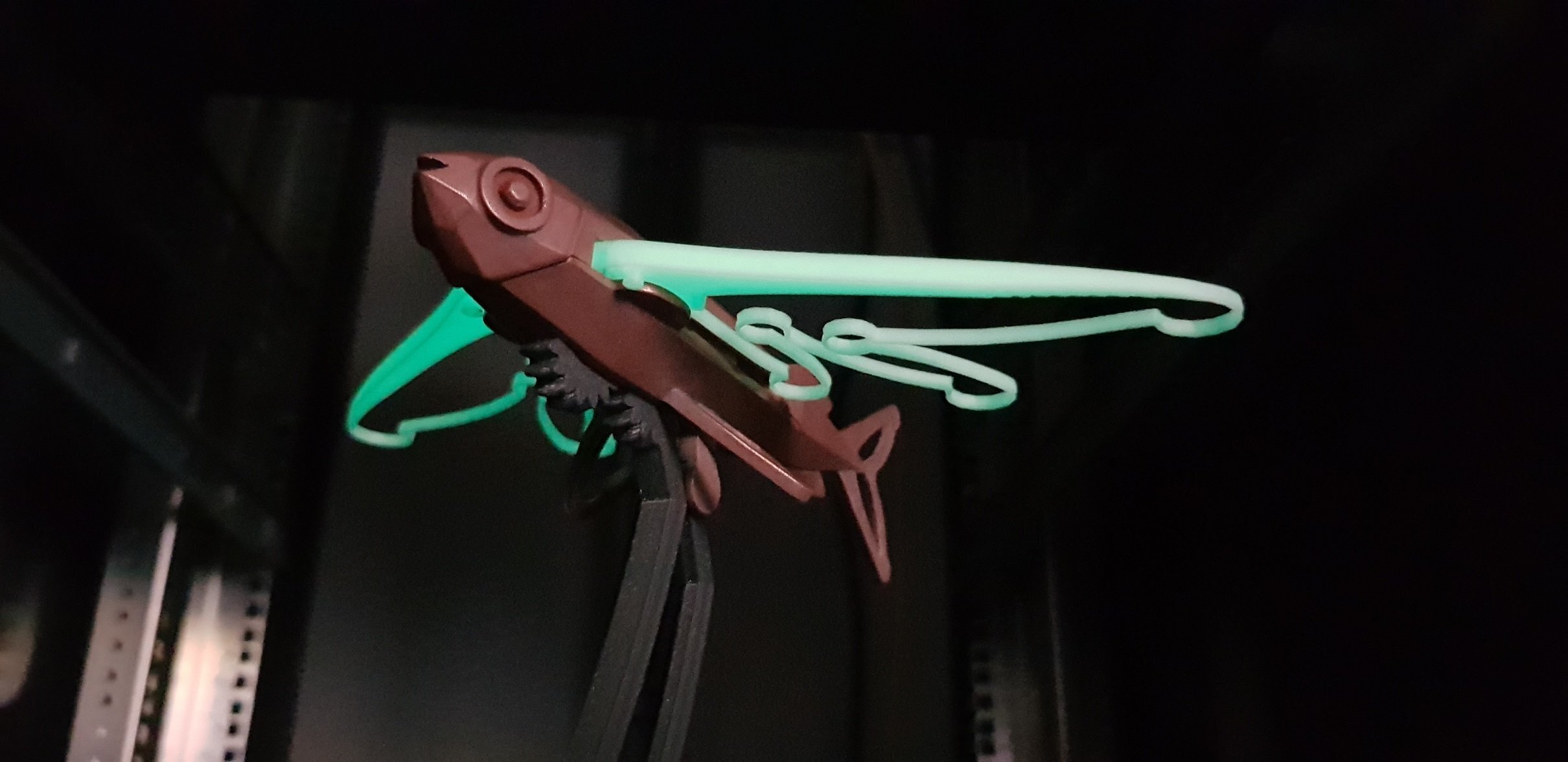 🐠 Flying Fish・3D Print・Cults