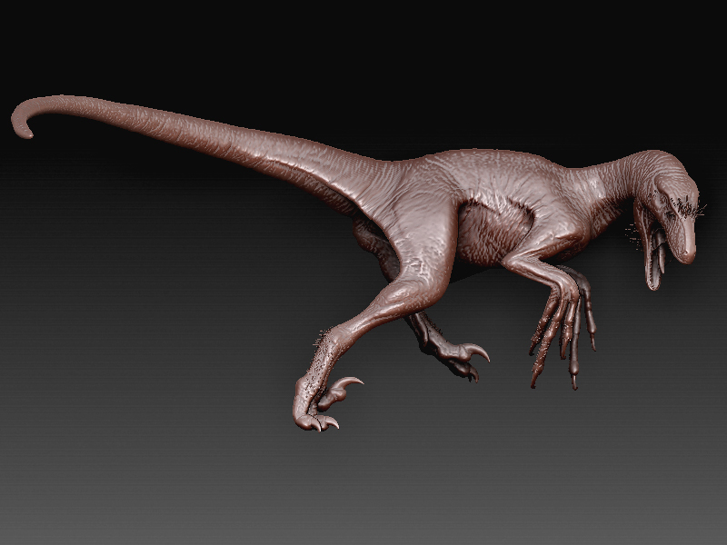 👫 Raptor・Free STL File for ・Cults