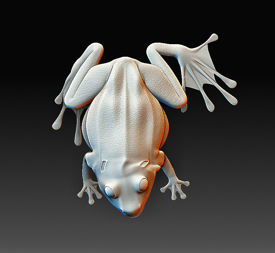 🐸 Frog・Free STL File for ・Cults