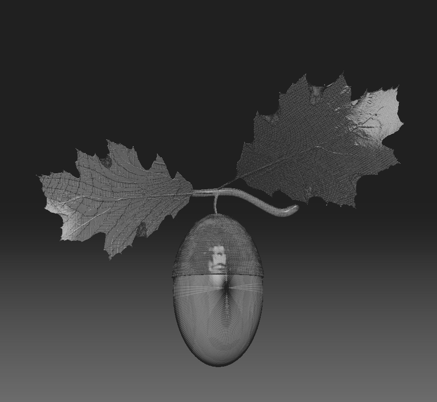 Free STL file Acorn 💐 (OBJ)・3D printable design to download・Cults