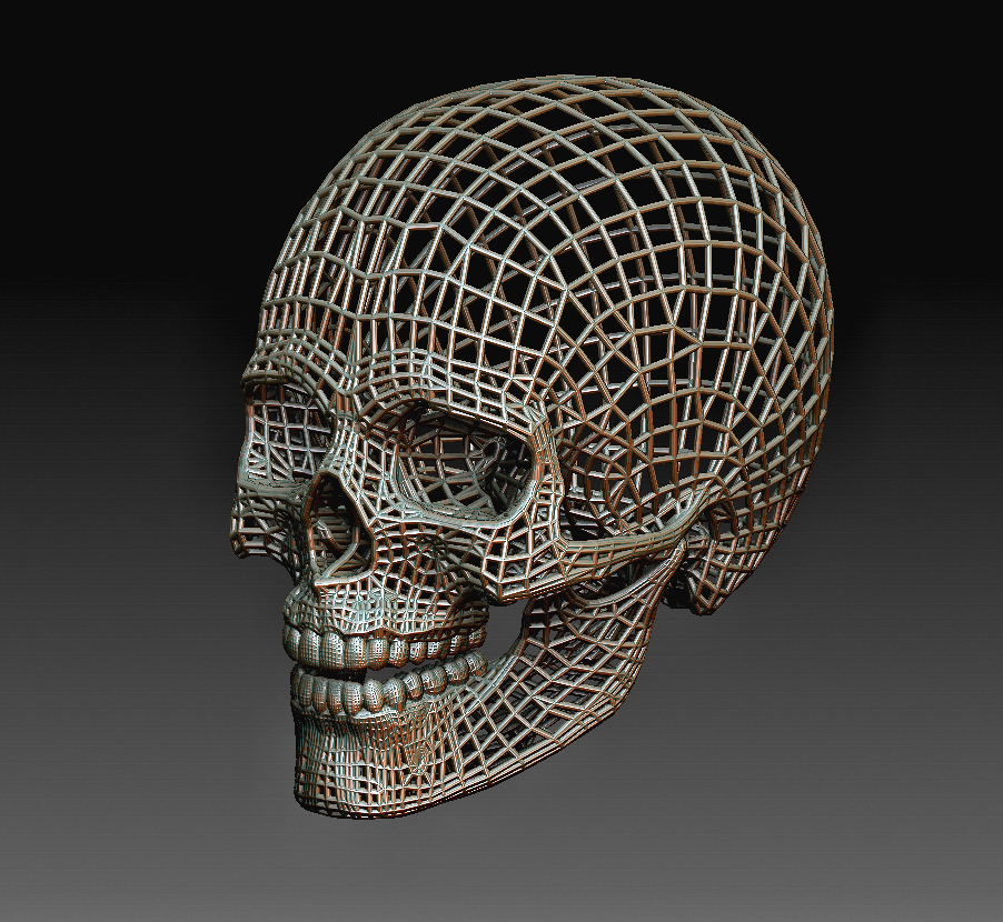 Free STL file Wire skull 💀 (OBJ)・3D printable model to download・Cults