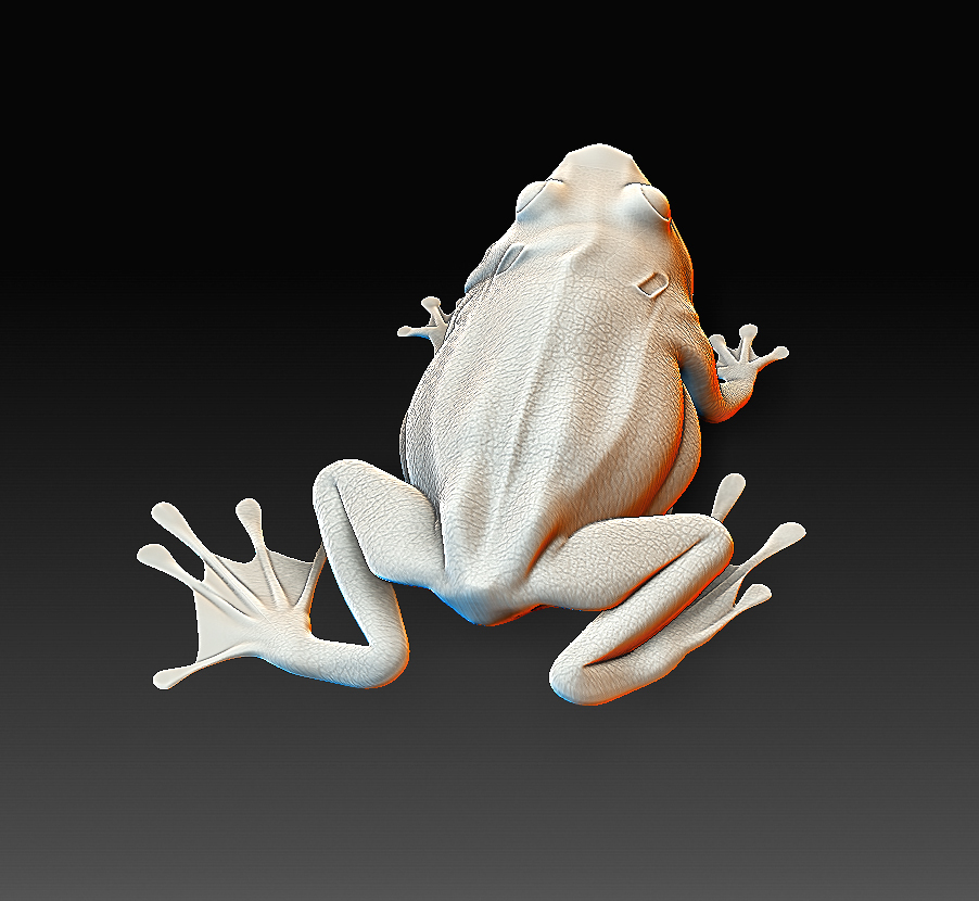 Free STL file Frog 🐸 (OBJ)・3D printing design to download・Cults