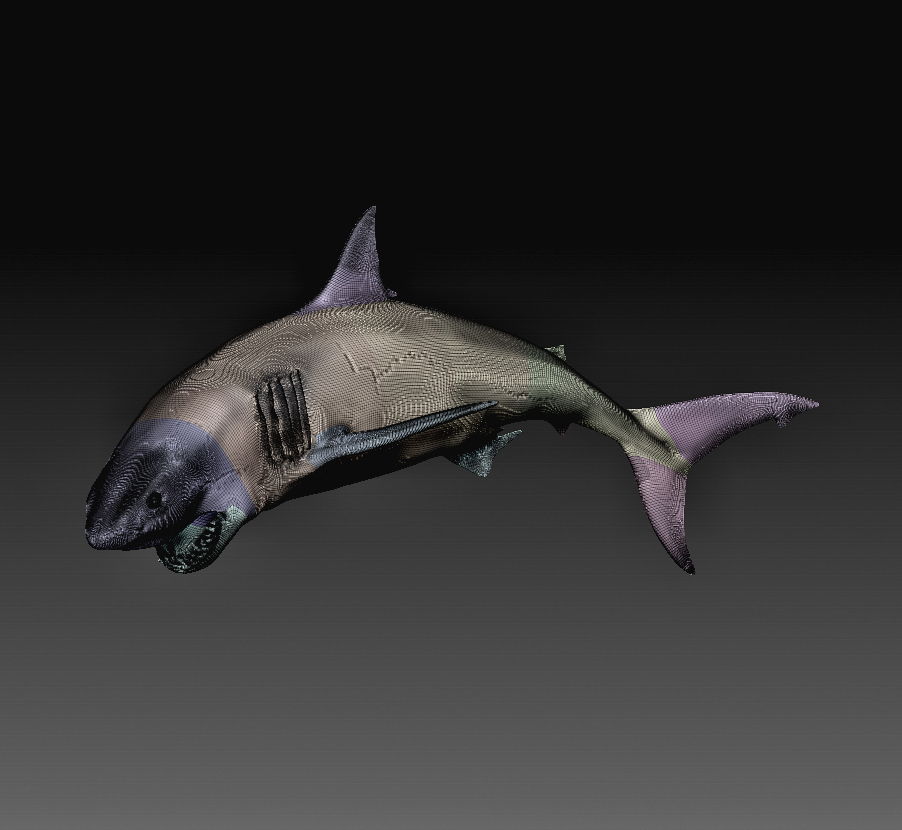 🦈 Shark・Free STL File for ・Cults