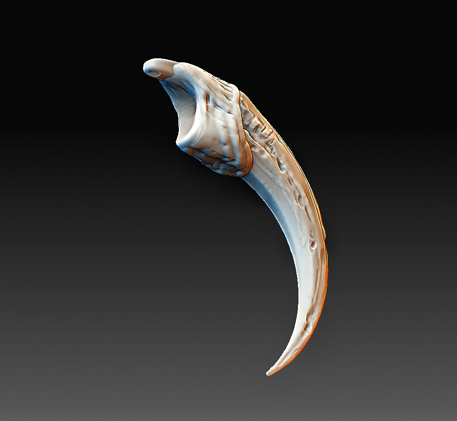 Free STL file Claws medalion 🎨 (OBJ)・3D printable design to download・Cults