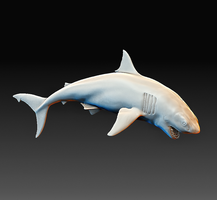 🦈 Shark・Free STL File for ・Cults