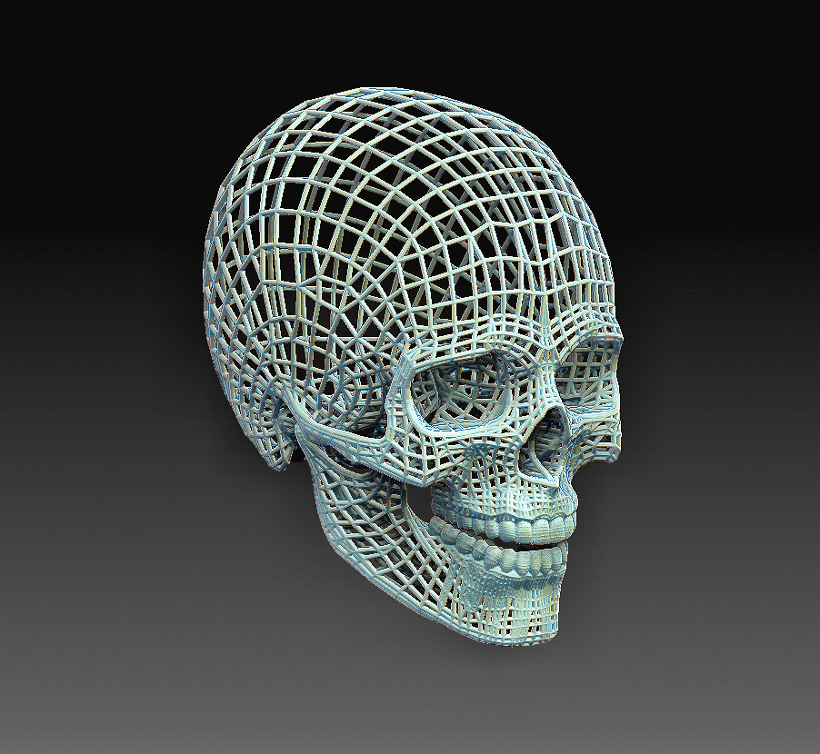 Free STL file Wire skull 💀 (OBJ)・3D printable model to download・Cults