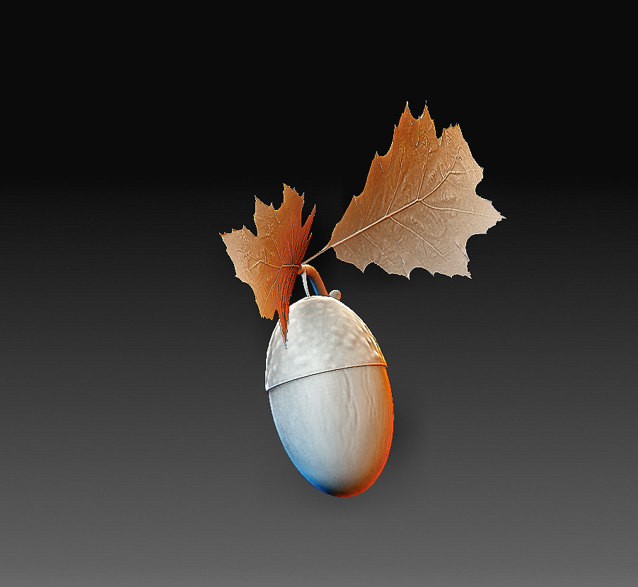 Free STL file Acorn 💐 (OBJ)・3D printable design to download・Cults